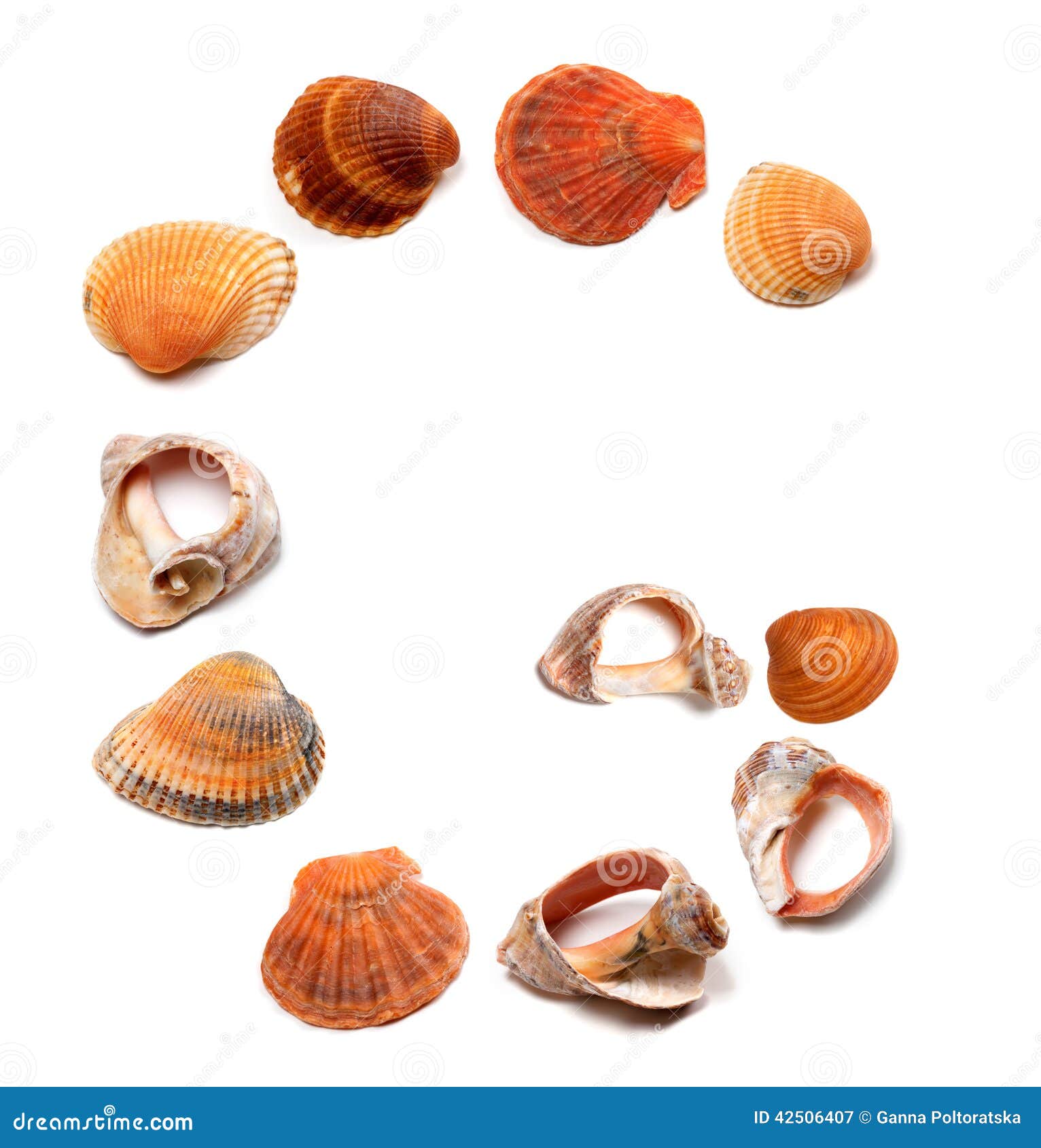 Letter G Composed of Seashells Stock Image - Image of character ...