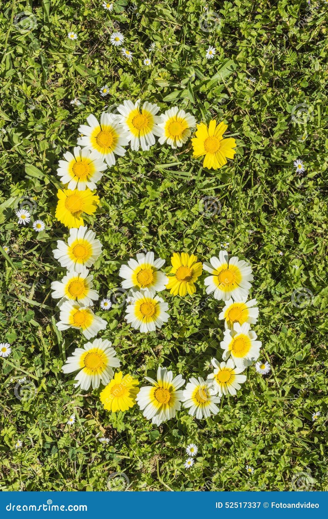 Letter G flower alphabet stock image. Image of flowers - 52517337