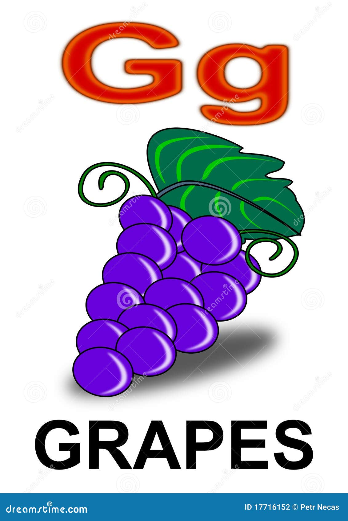 Letter G grapes stock illustration. Illustration of school - 17716152