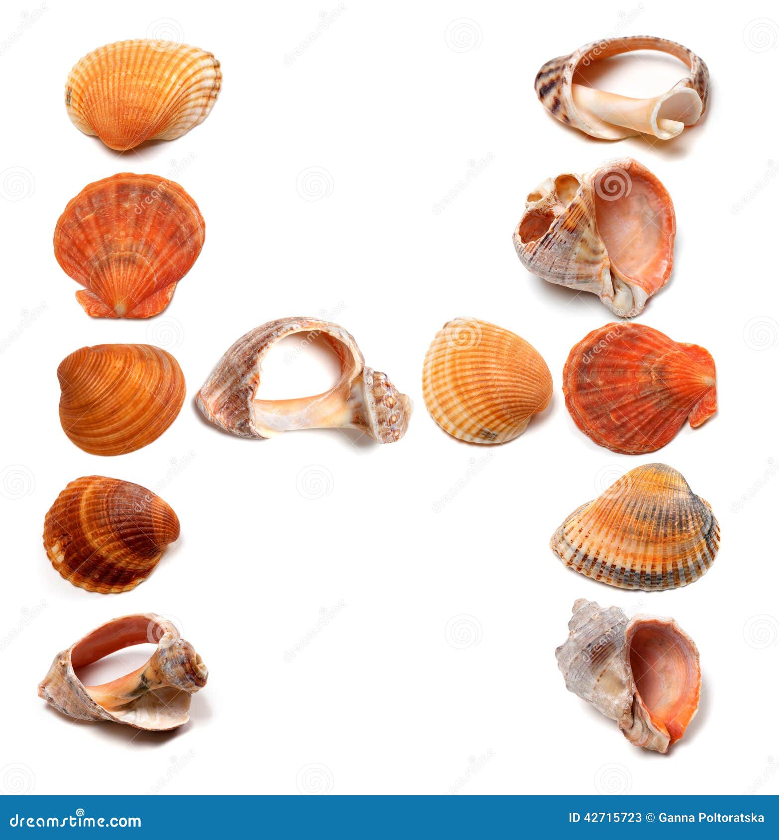 Letter H Composed of Seashells Stock Image - Image of empty, decoration ...