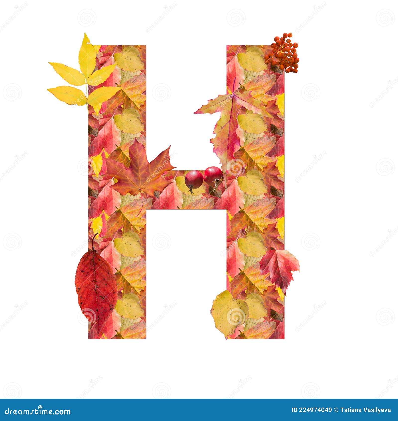 The Letter H, Autumn Decorated Stock Illustration - Illustration of ...