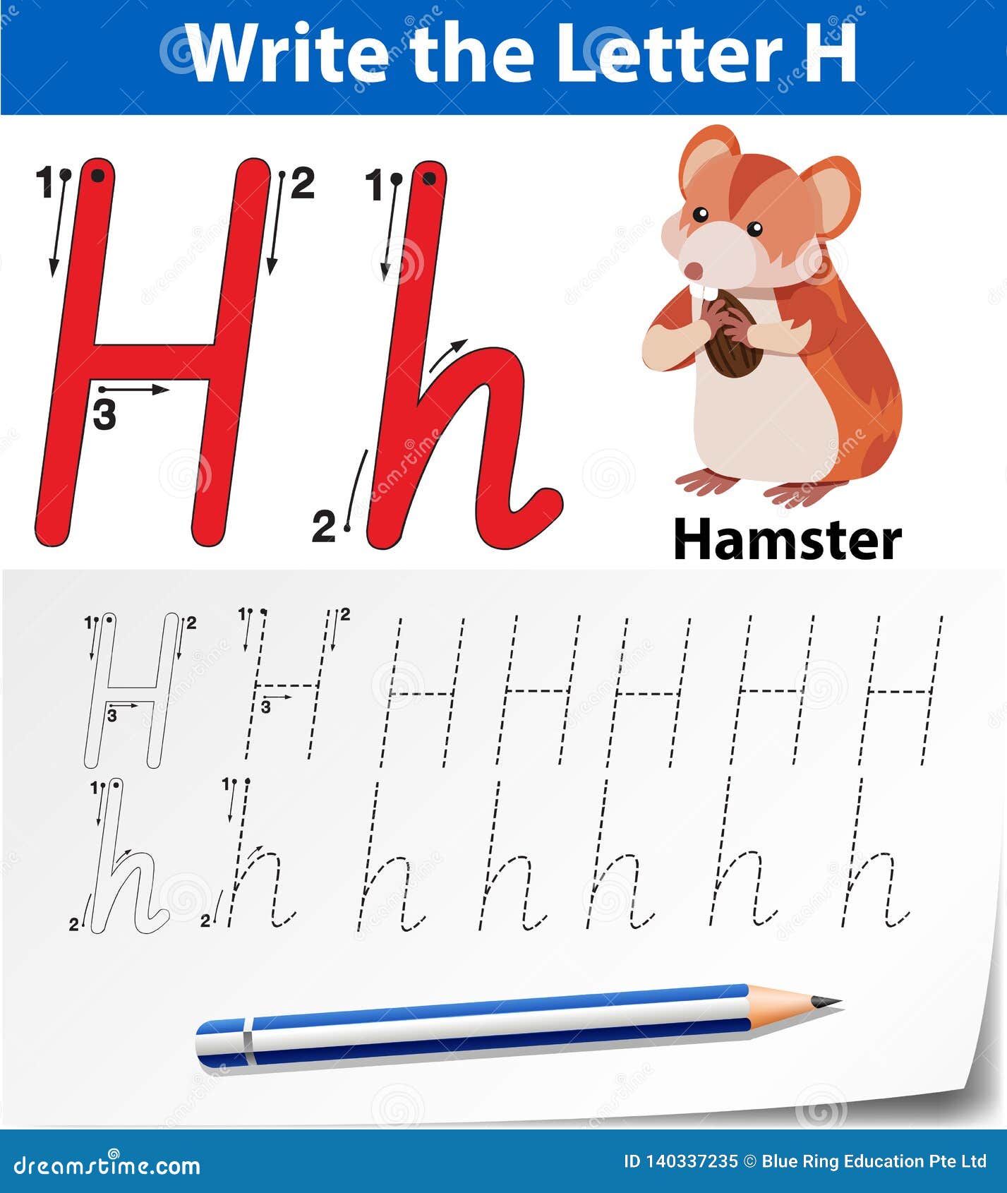 Hamster With Letter H On Blue. Alphabet. Vector Illustration ...