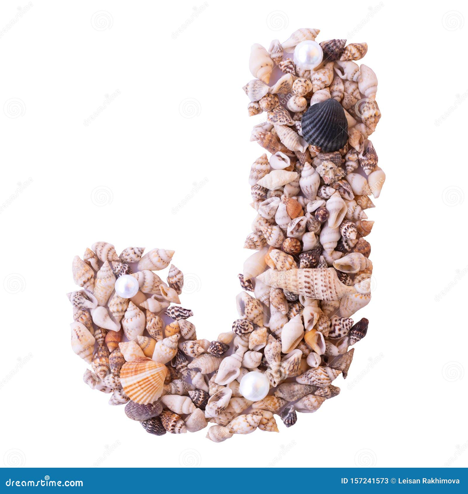 Letter J Made of Tiny Seashells. Stock Image - Image of starfish ...