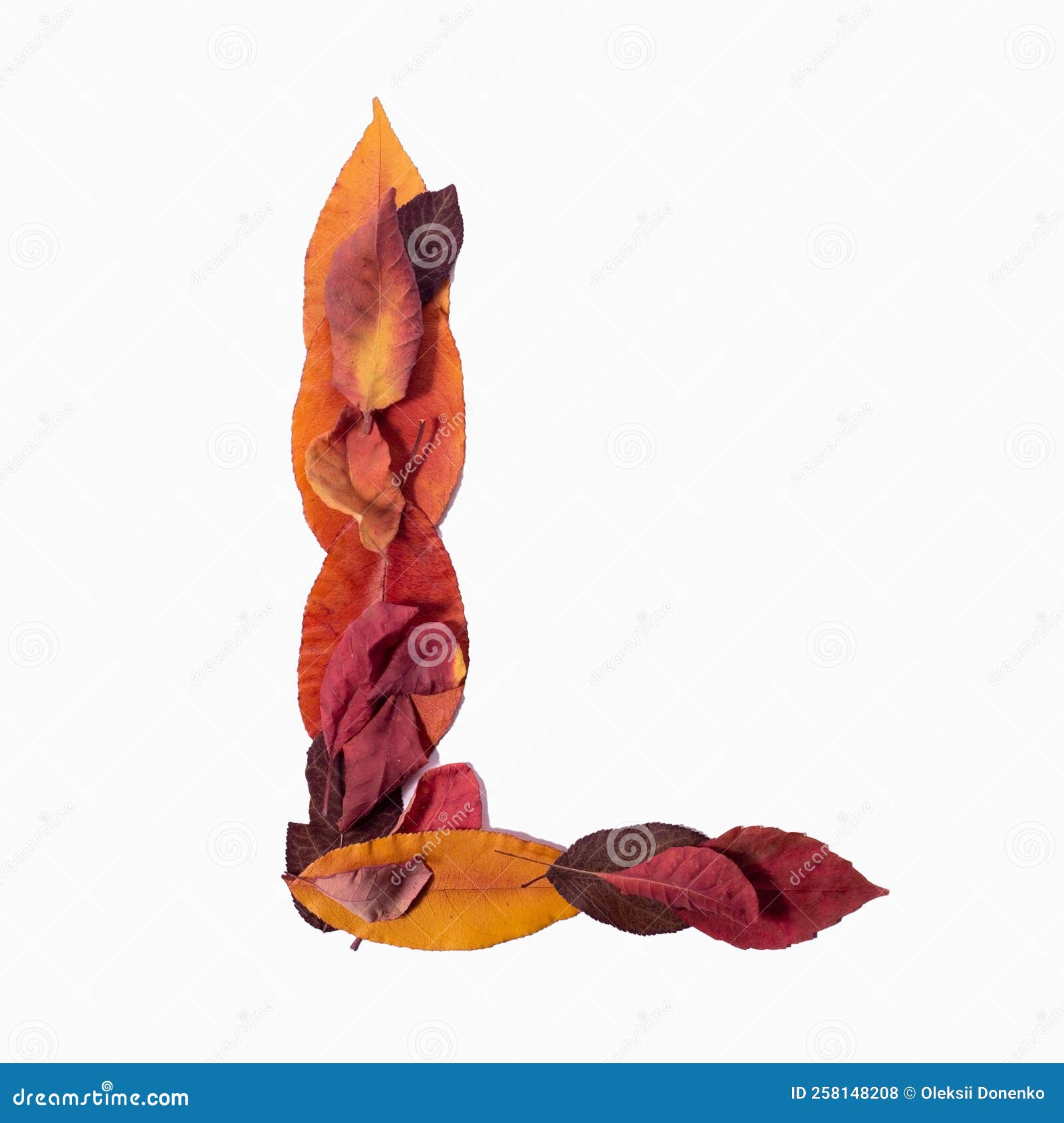 Letter L Autumn Leaves Isolate on White Background Stock Photo - Image ...