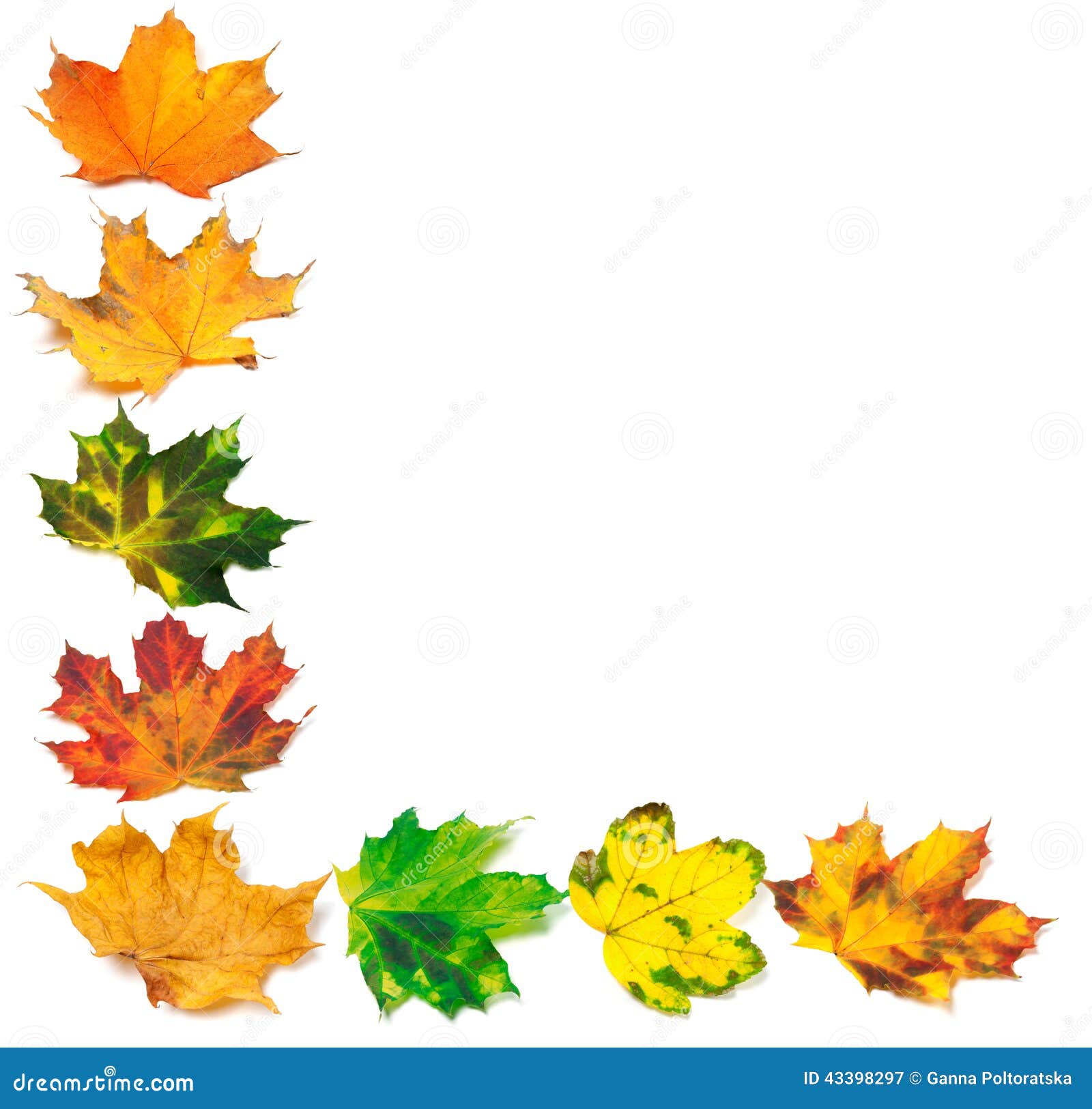 Letter L Leafs Stock Photos - Free & Royalty-Free Stock Photos from ...