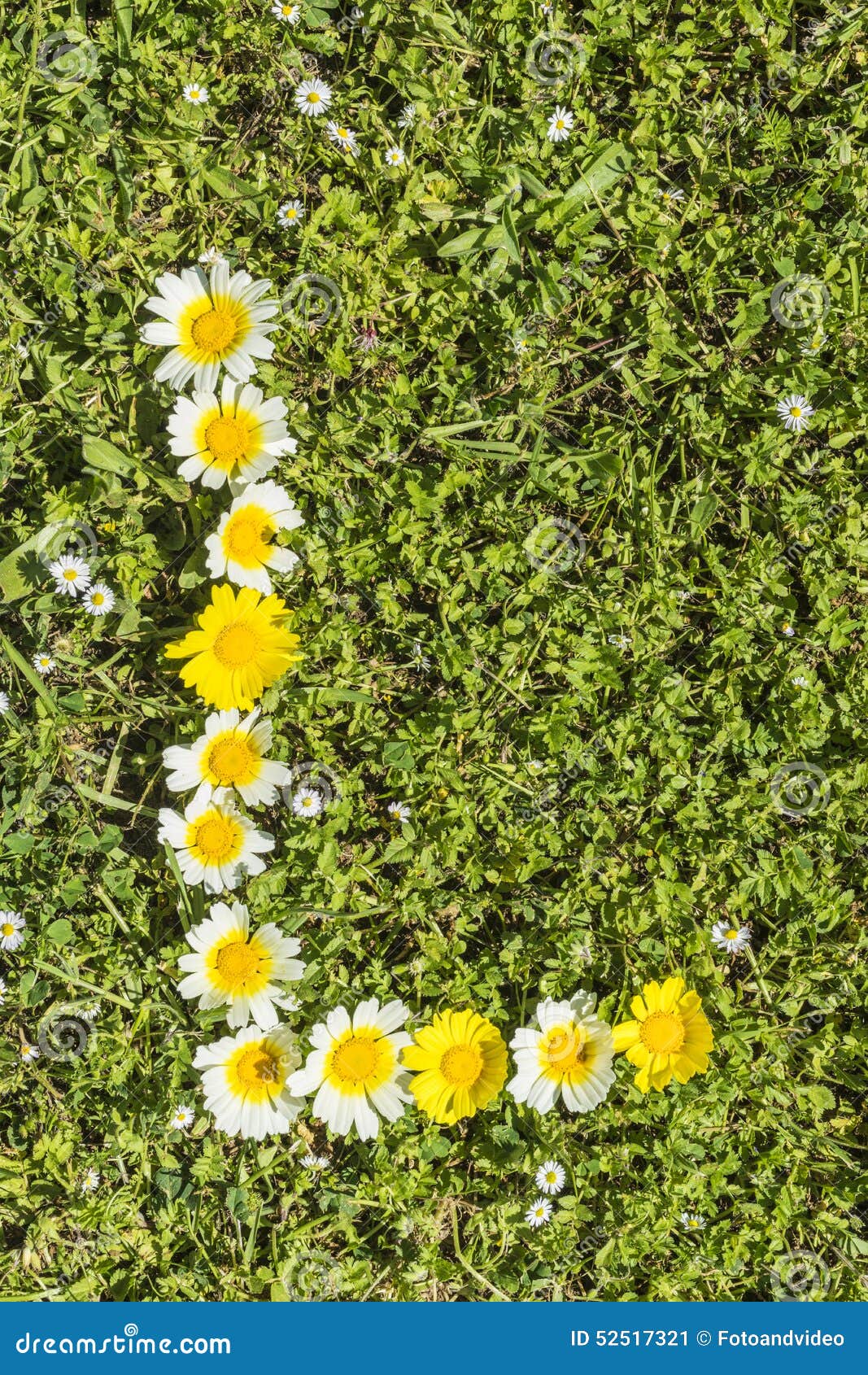Letter L flower alphabet stock image. Image of ecological - 52517321