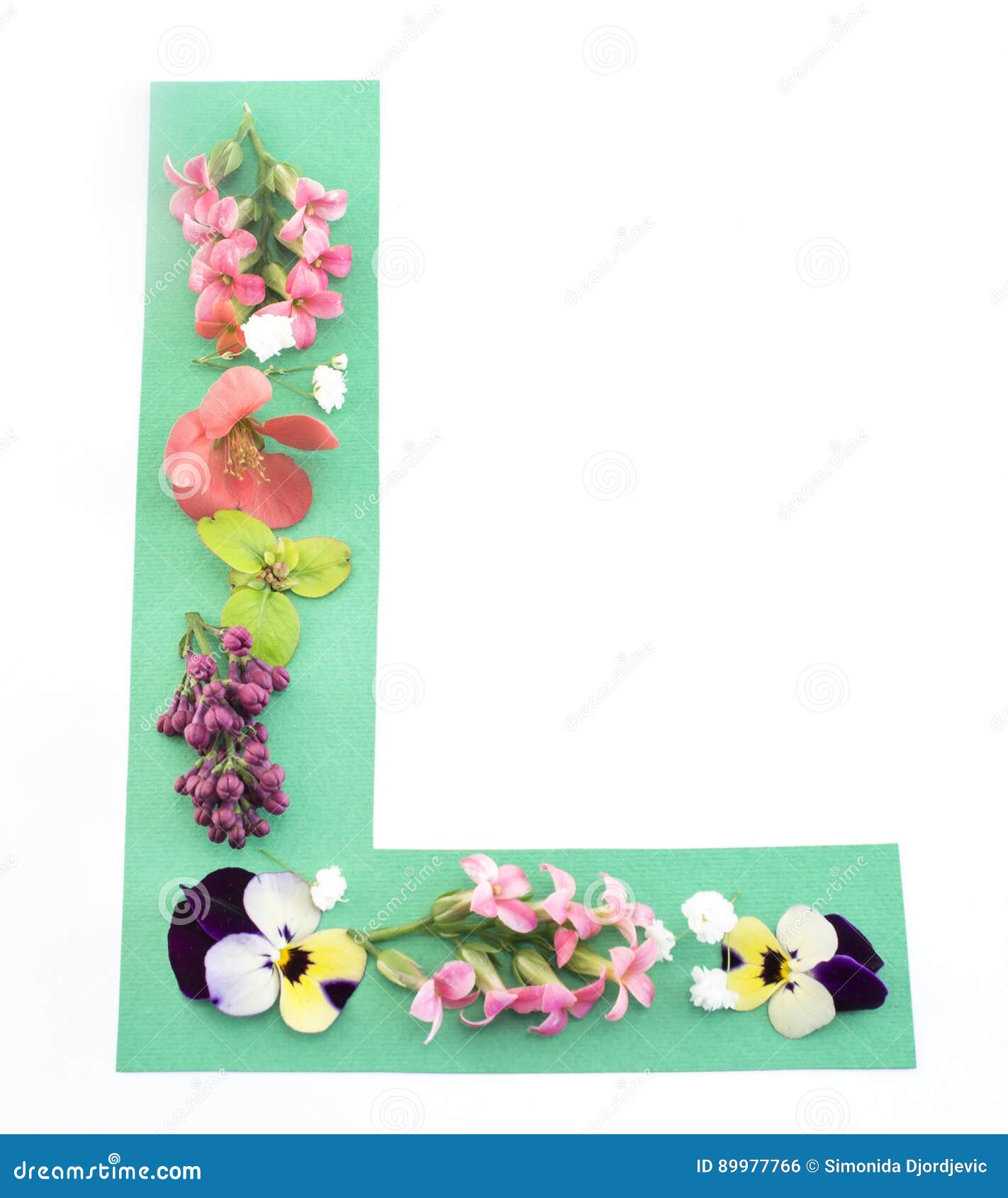 Letter L Made of Spring Flowers and Paper Stock Photo - Image of ...