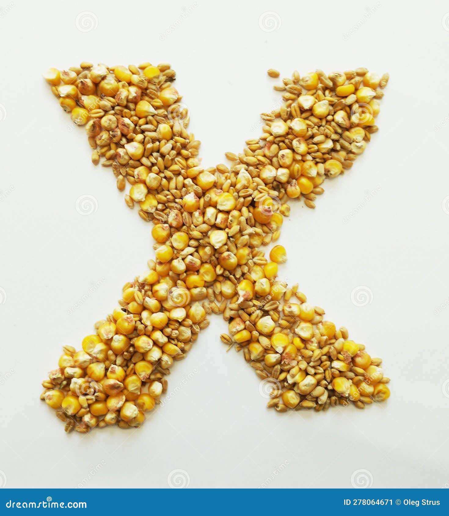 Letter X of the Alphabet is Made of Wheat and Corn Grains Stock Image ...