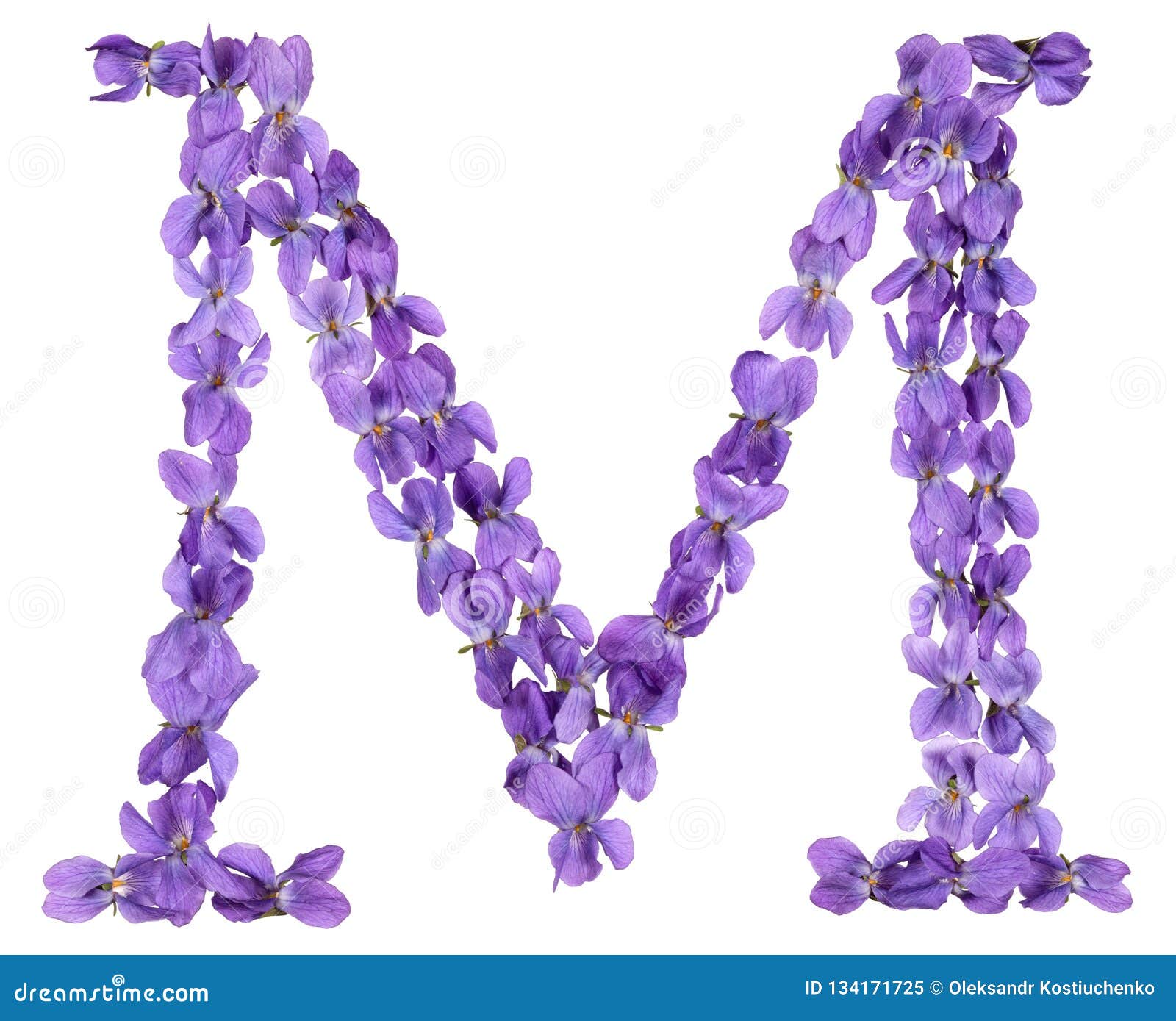Letter M from Alphabet, from Flowers of Violet, Isolated on White ...