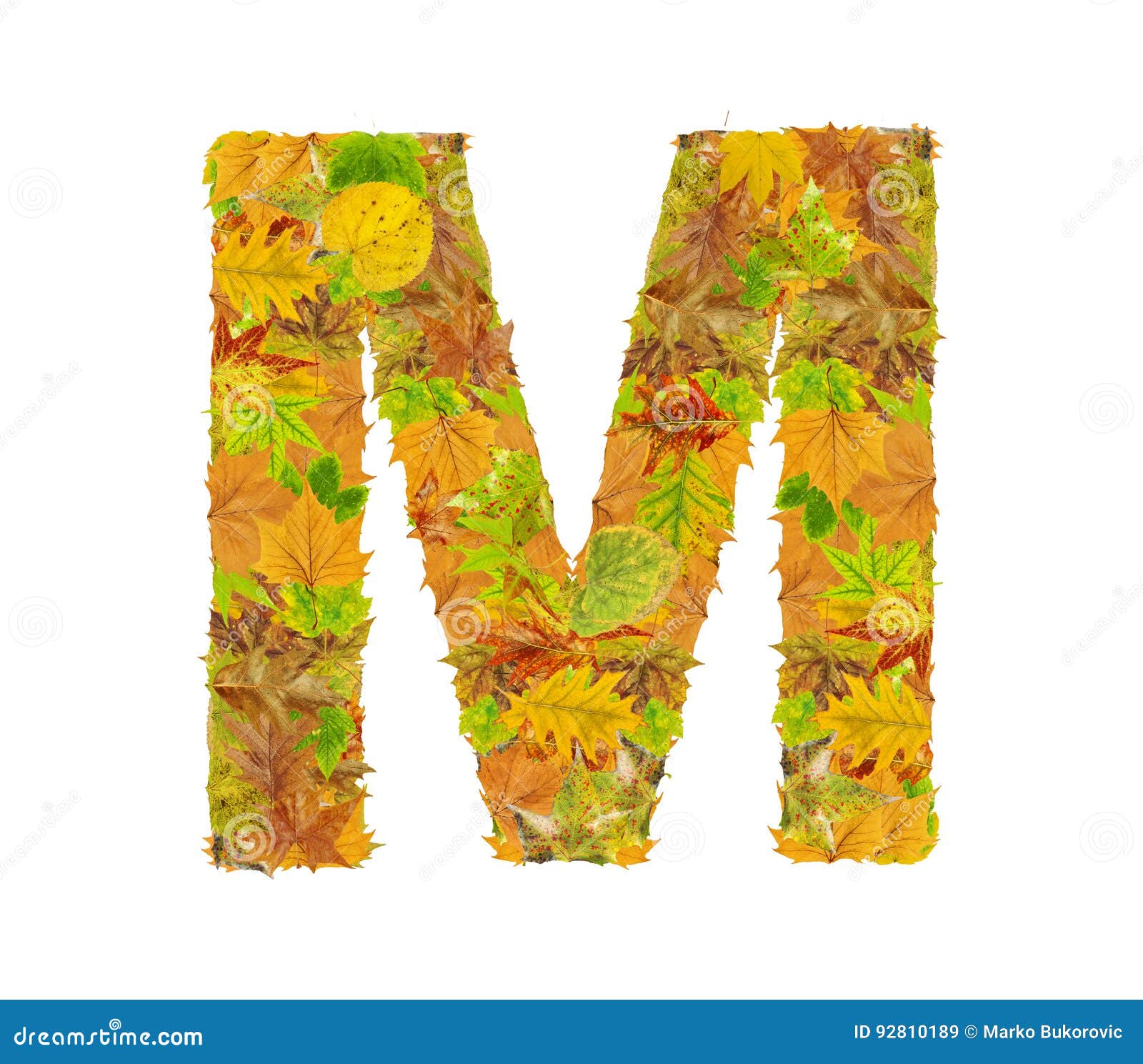 The Letter M of Alphabet Made of Autumn Leaves Stock Illustration ...