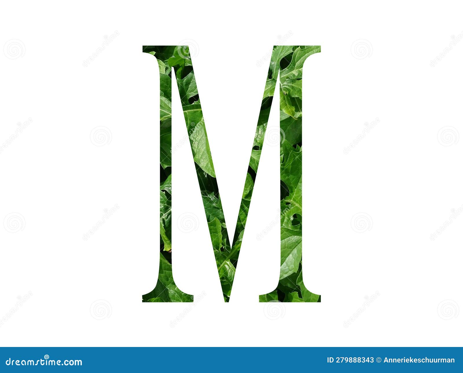 Letter M of the Alphabet Made with Fresh Green Leaf Stock Illustration ...