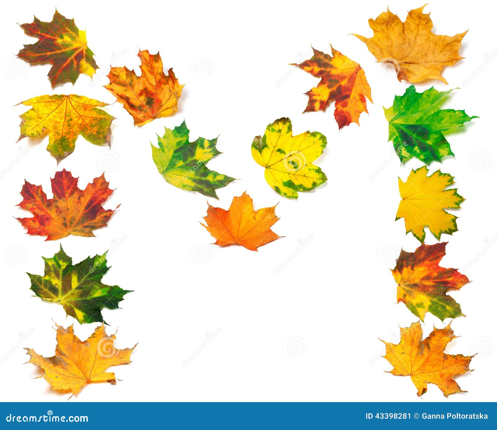 Letter M Composed of Autumn Maple Leafs Stock Image - Image of font ...