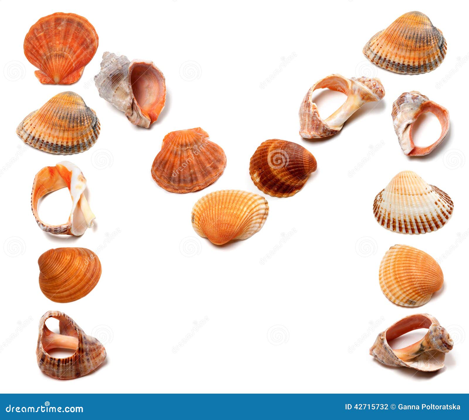 Letter M Composed of Seashells Stock Photo - Image of composed, broken ...