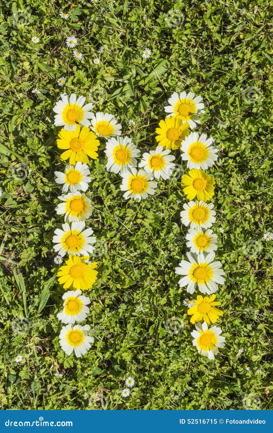 Letter M flower alphabet stock image. Image of green - 52516715