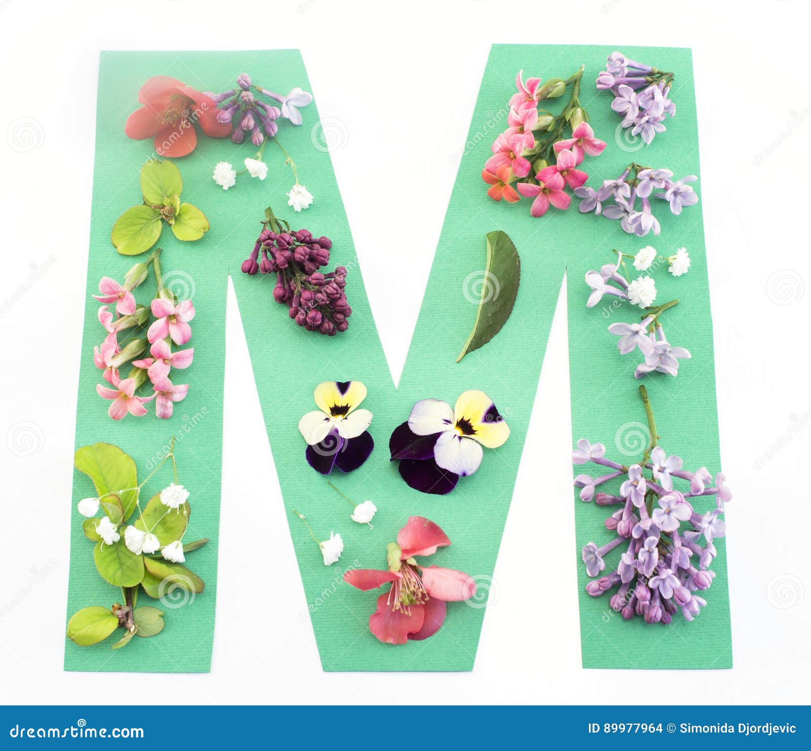Letter M Made of Spring Flowers and Paper Stock Photo - Image of ...