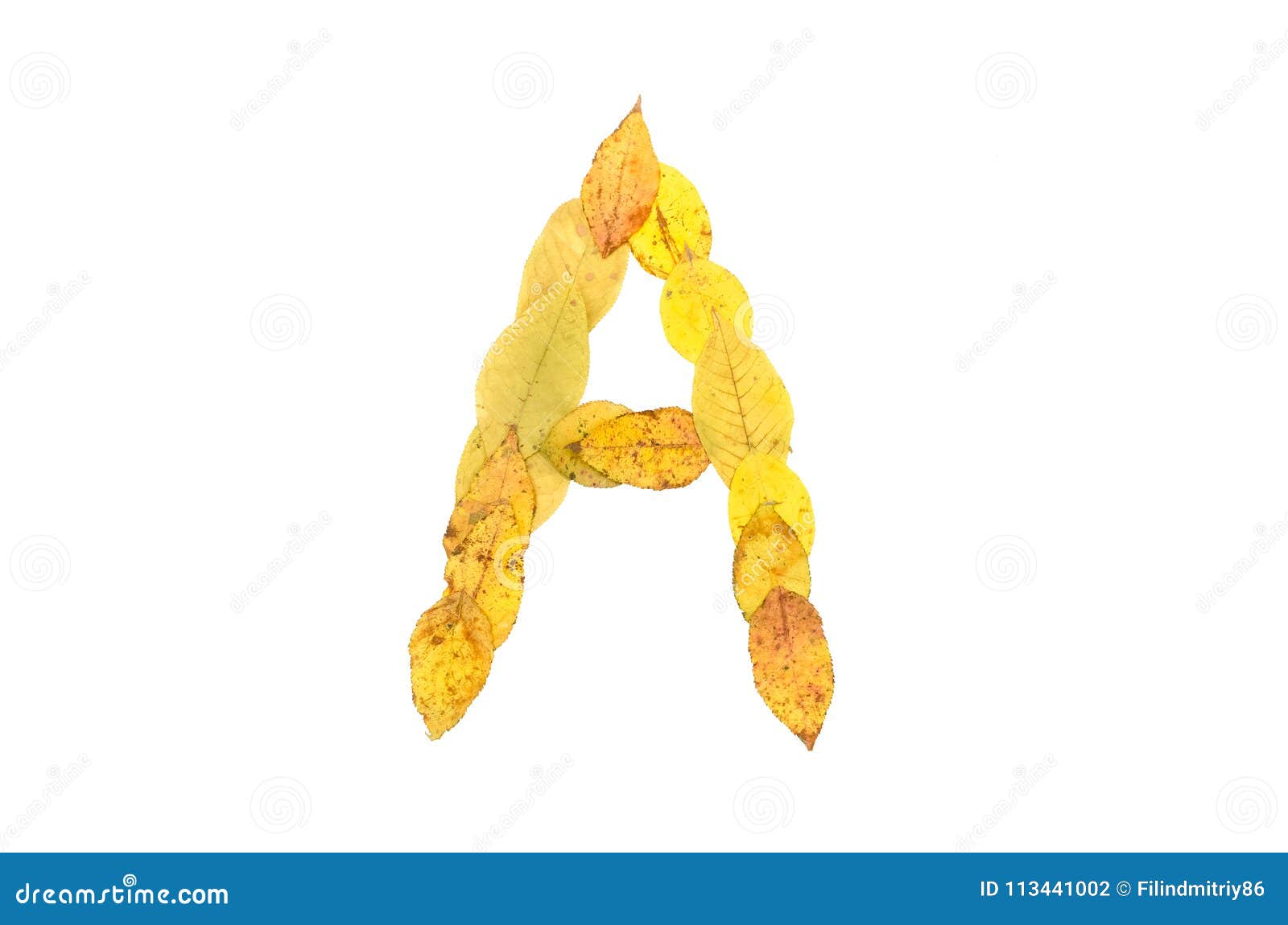 Letter a Made of Autumn Fallen Leaves. Alphabet. Stock Illustration ...