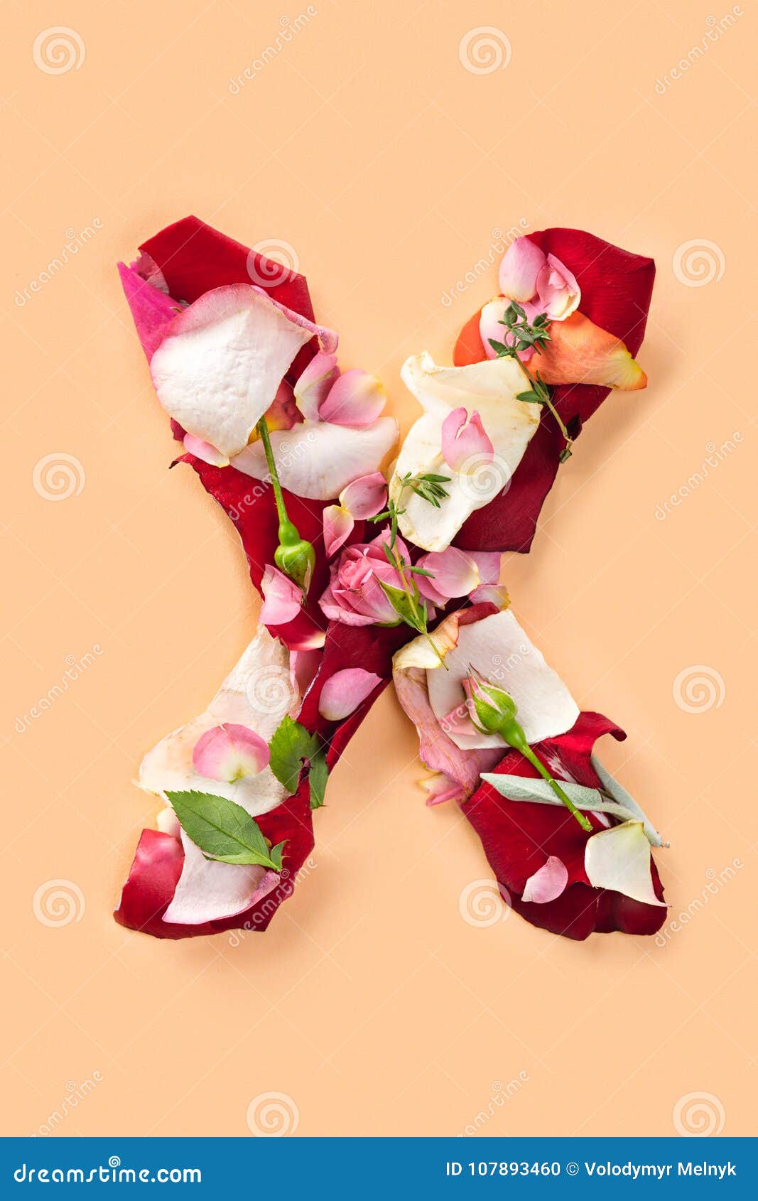 Letter X Made from Red Roses and Petals on a White Background Stock ...