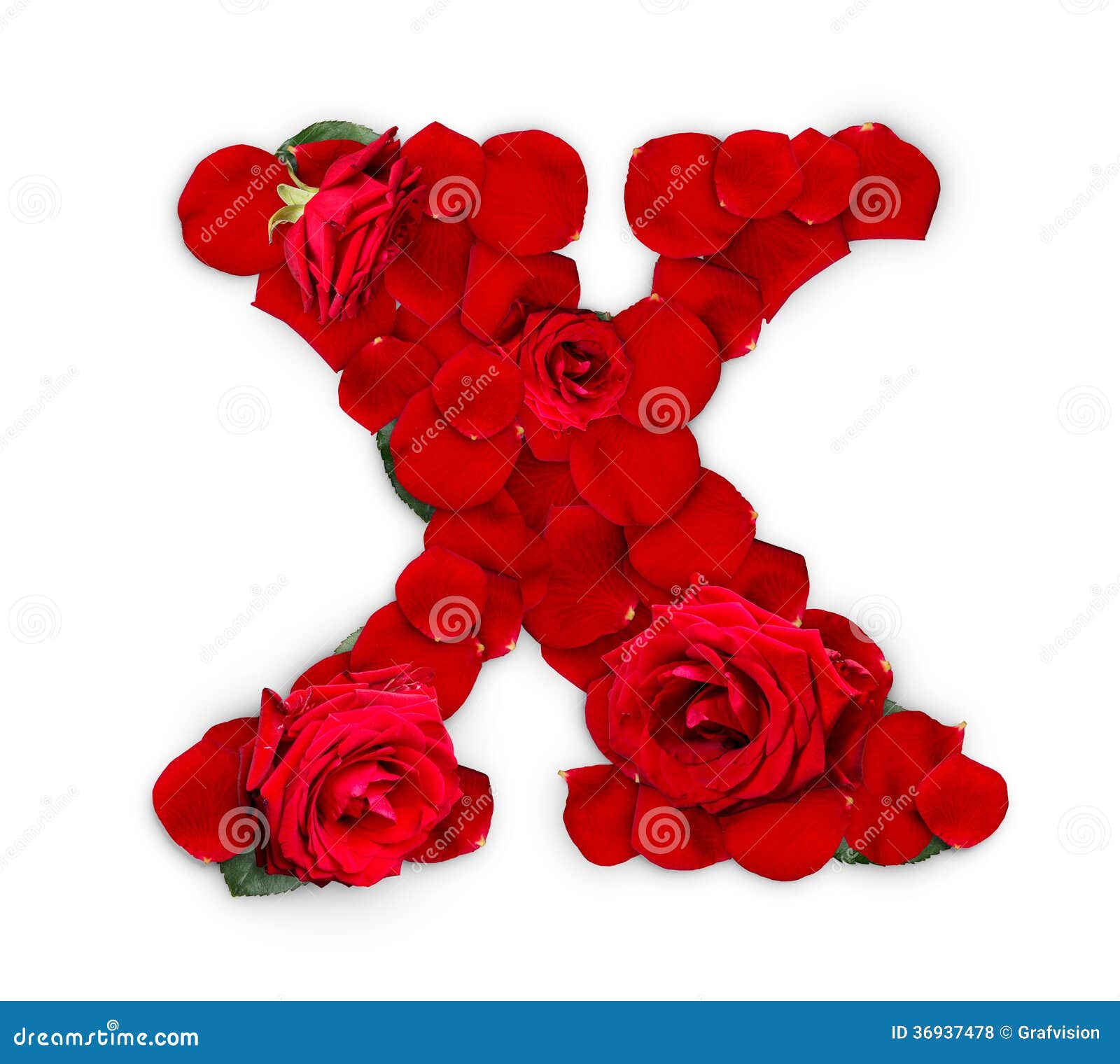 Letter X stock photo. Image of isolated, character, type - 36937478