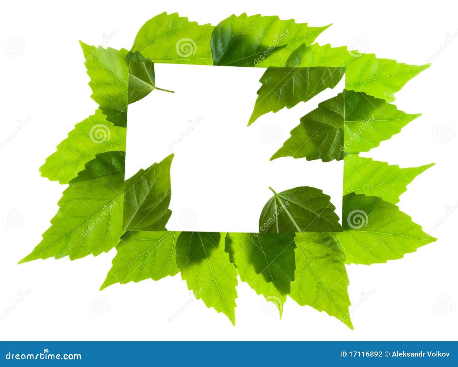 The Letter Message from Green Leaves Stock Photo - Image of background ...
