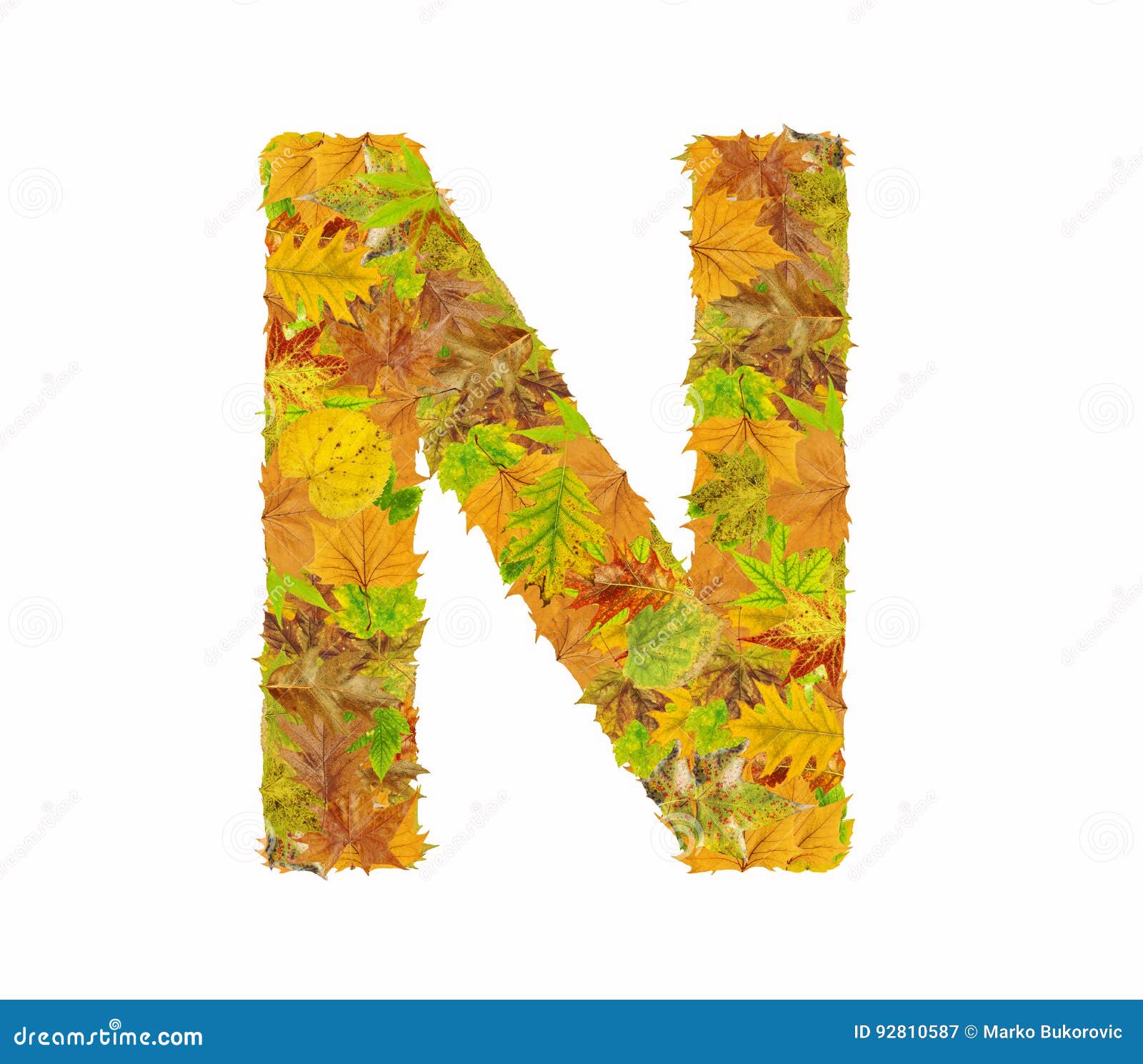 The Letter N of Alphabet Made of Autumn Leaves Stock Illustration ...