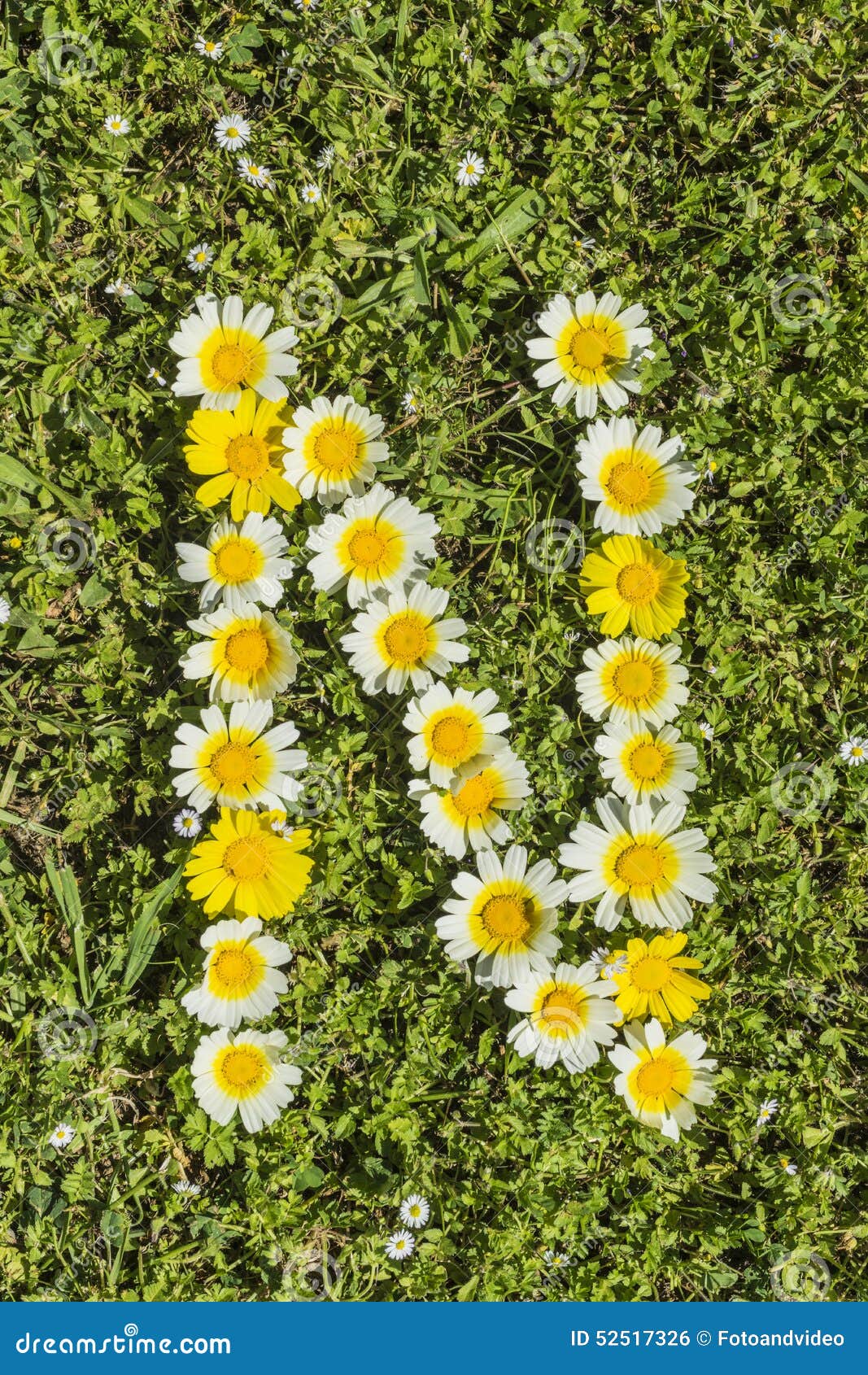 Letter N flower alphabet stock photo. Image of building - 52517326