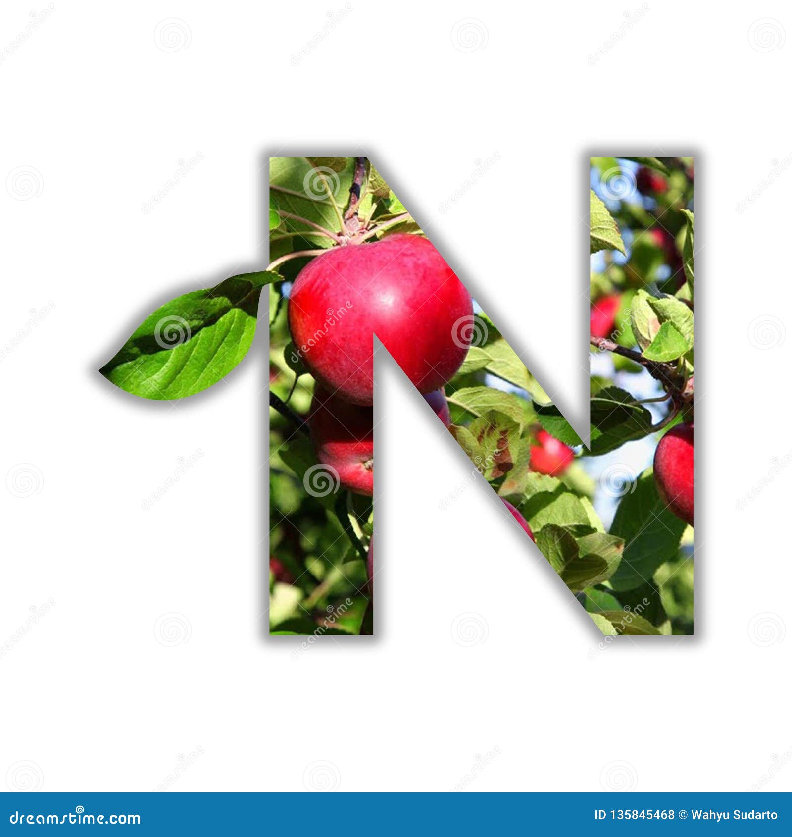 Letter N Made of Fresh Fruit Stock Photo - Image of green, concept ...