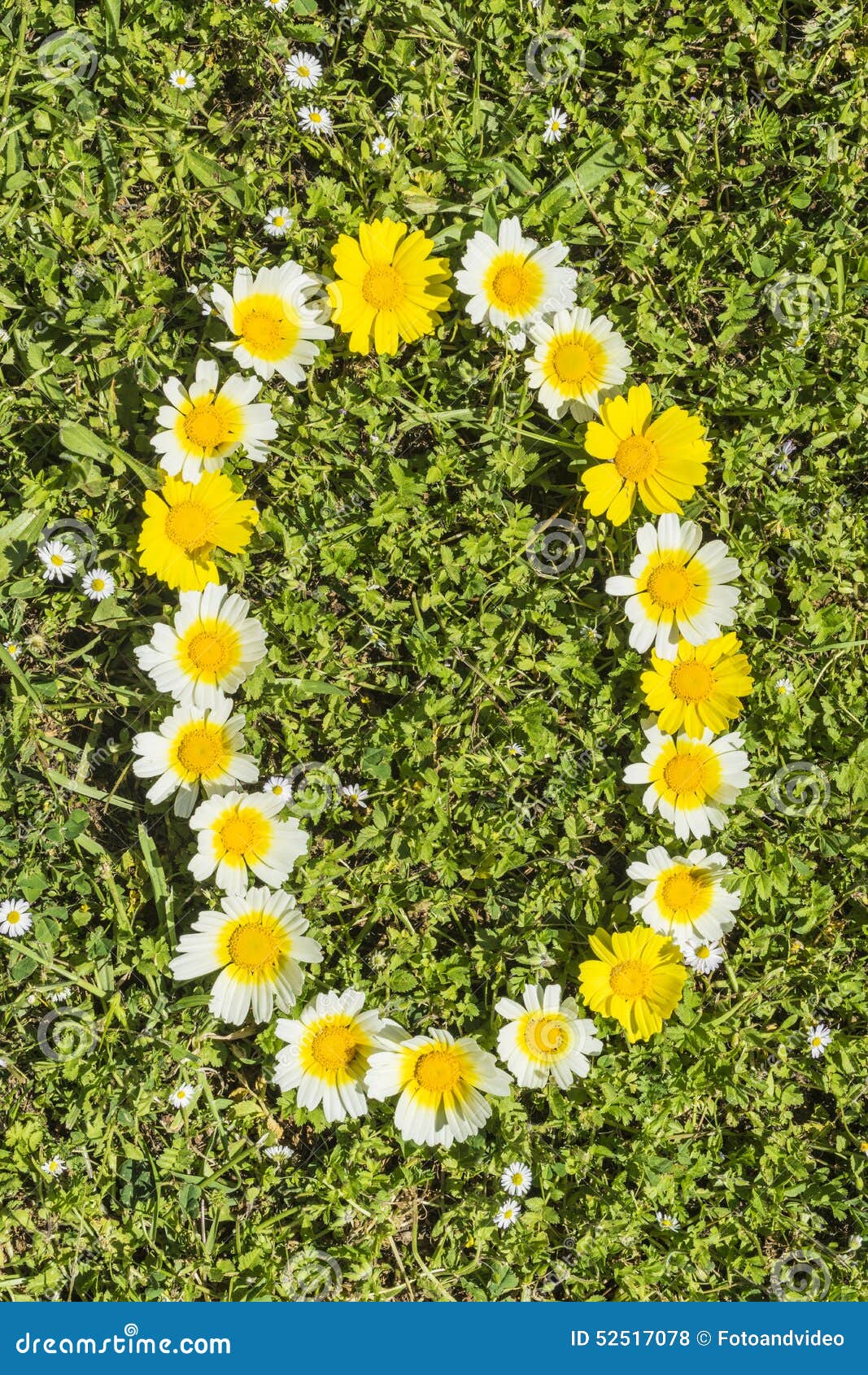 Letter O flower alphabet stock photo. Image of block - 52517078