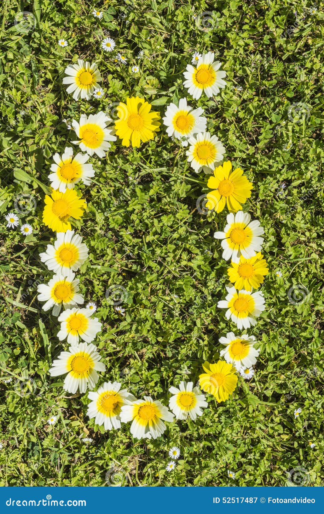 Letter OE flower alphabet stock image. Image of blossom - 52517487