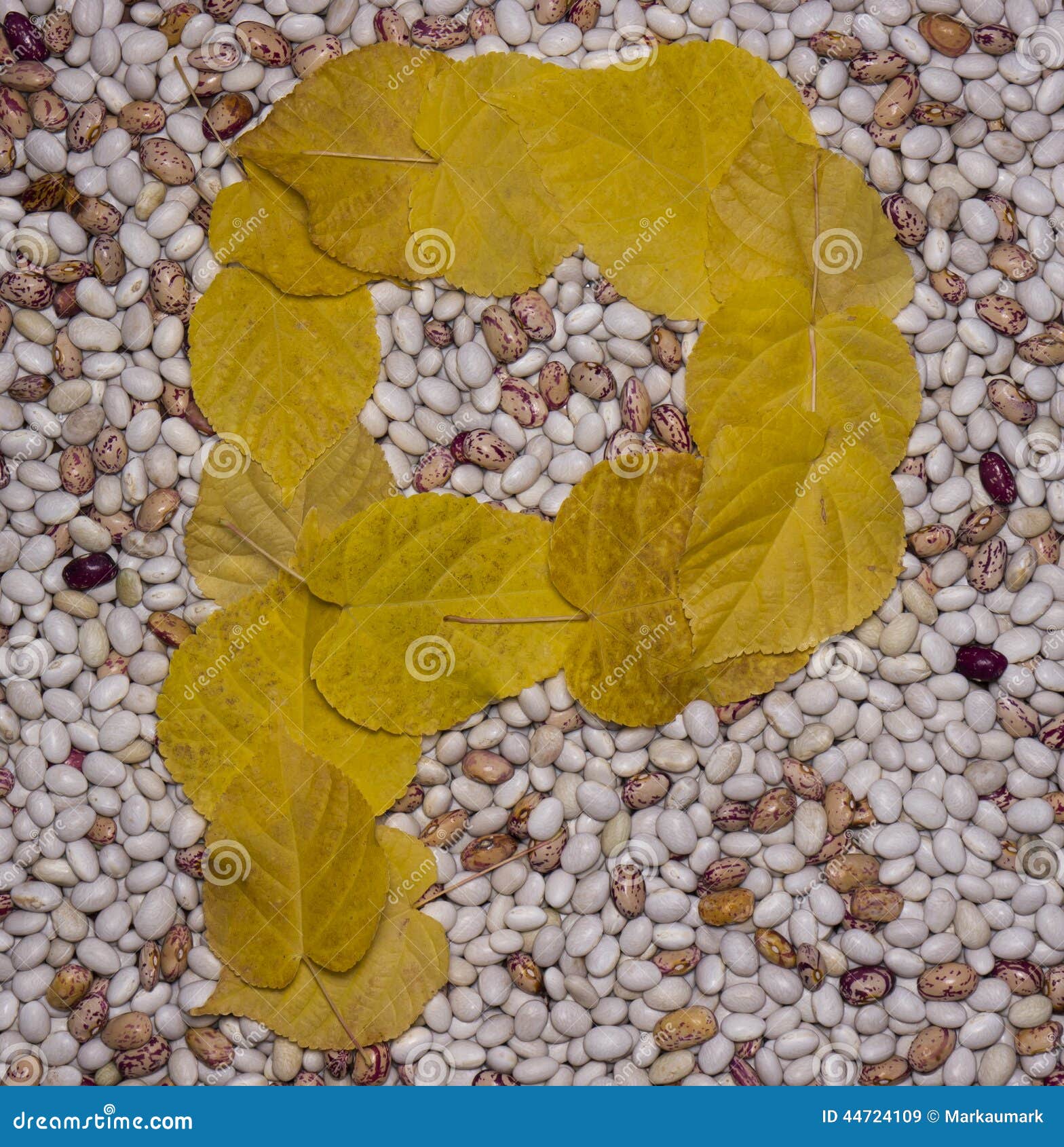 Letter P. stock image. Image of almonds, creative, decorative - 44724109