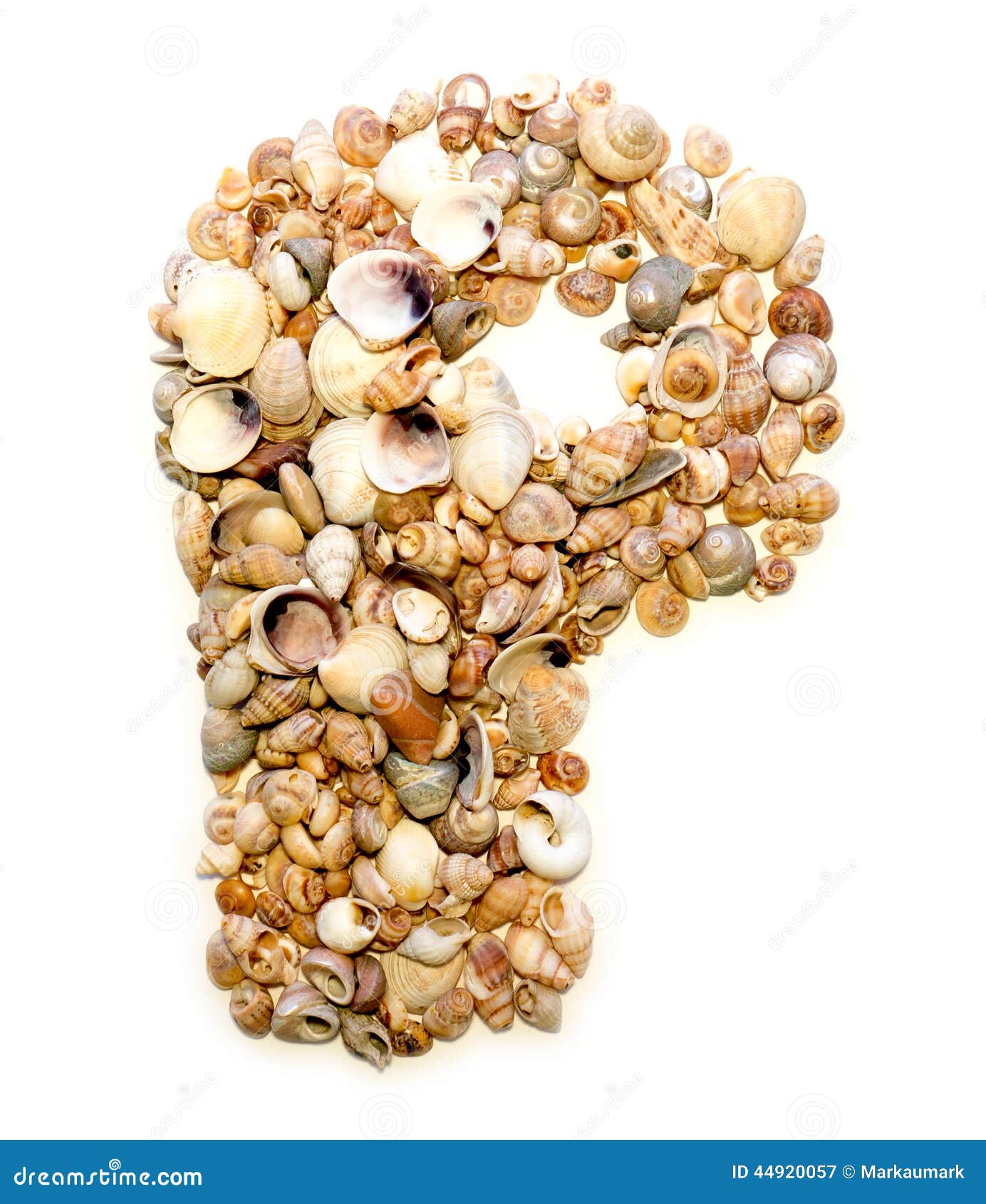 Shell Letter P Stock Photos - Free & Royalty-Free Stock Photos from ...