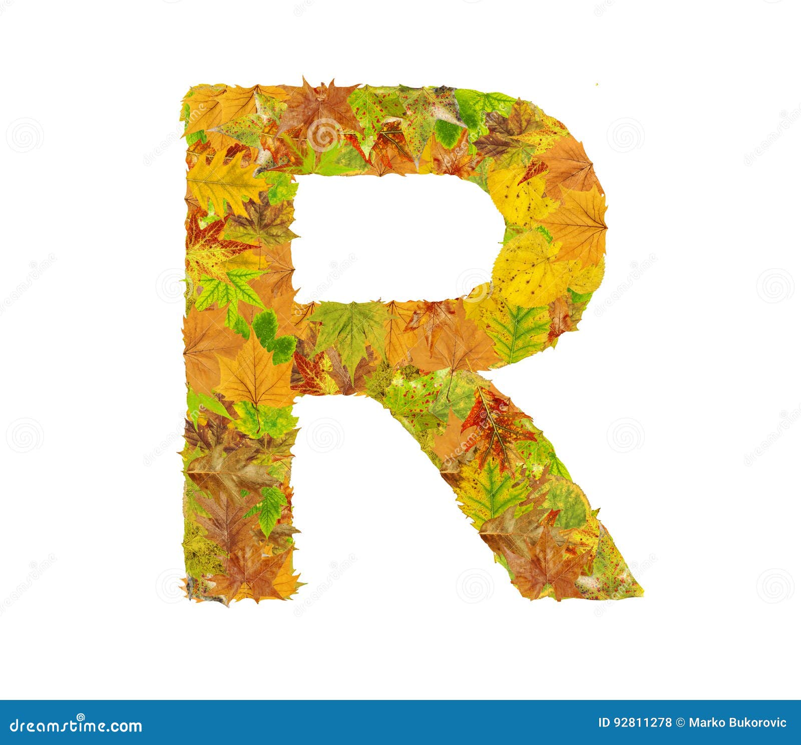 The Letter R Of Alphabet Made Of Autumn Leaves Stock Photo - Image of ...