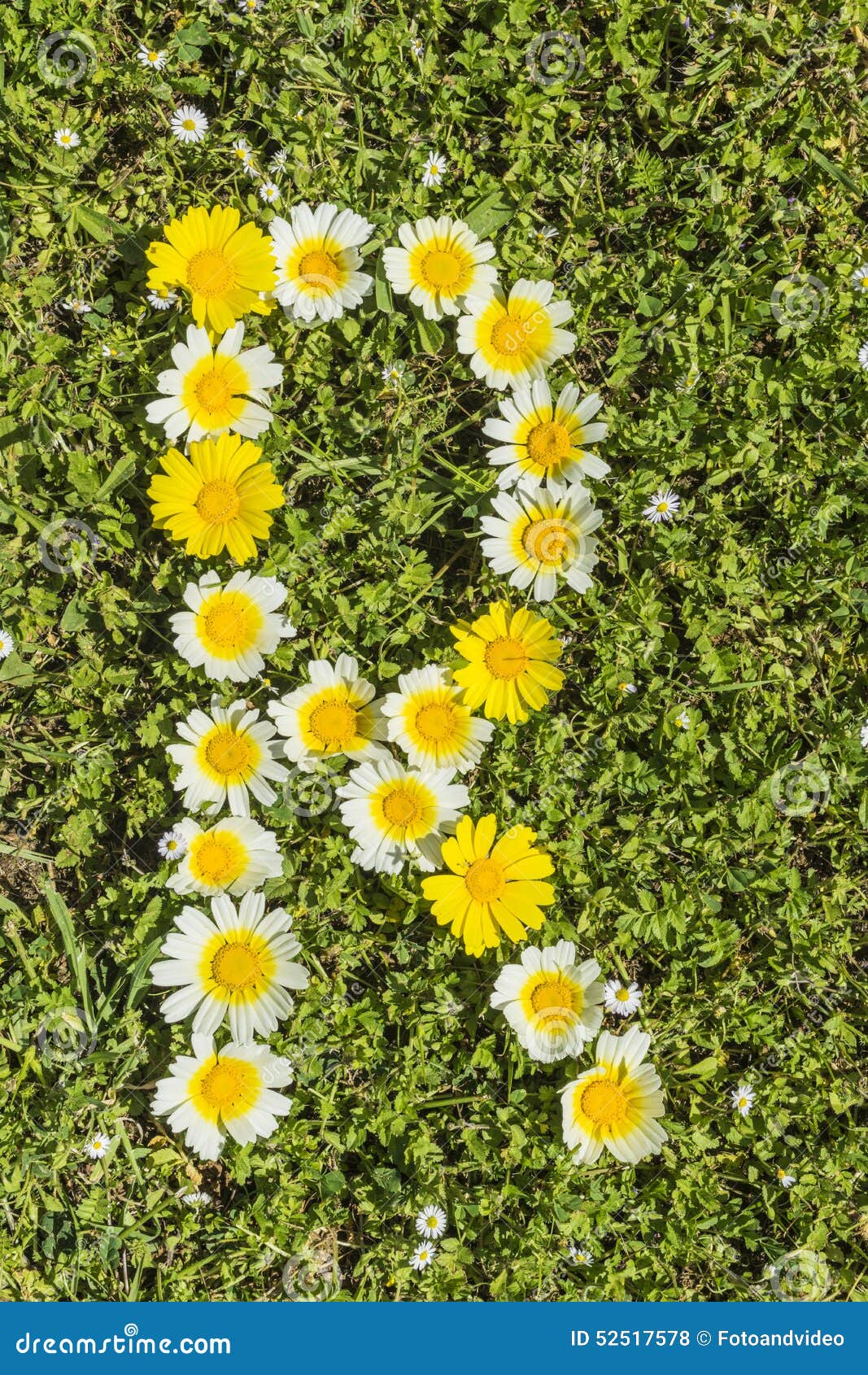 Letter R flower alphabet stock photo. Image of advertising - 52517578