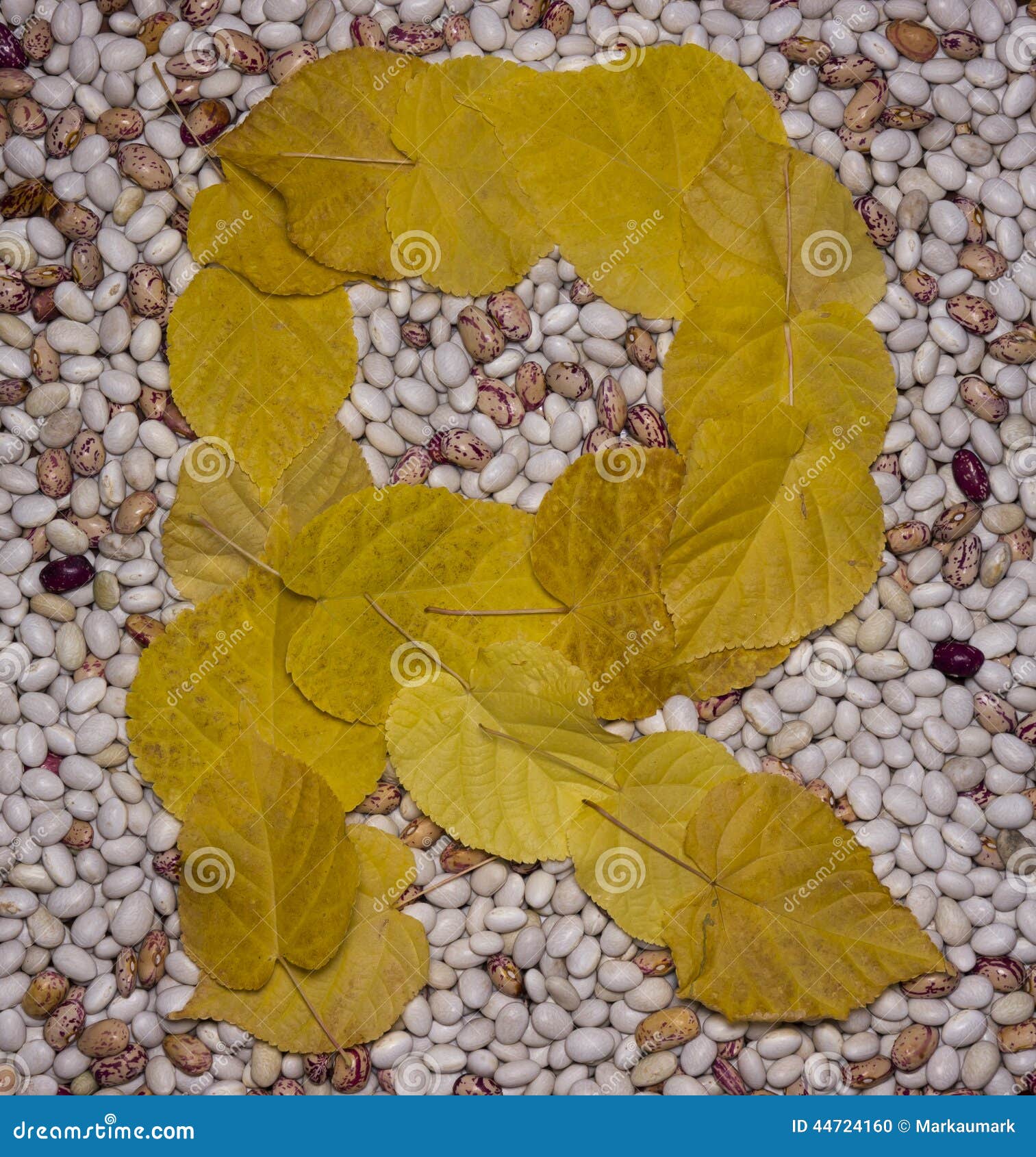 Letter R. stock photo. Image of bean, kidney, ornament - 44724160