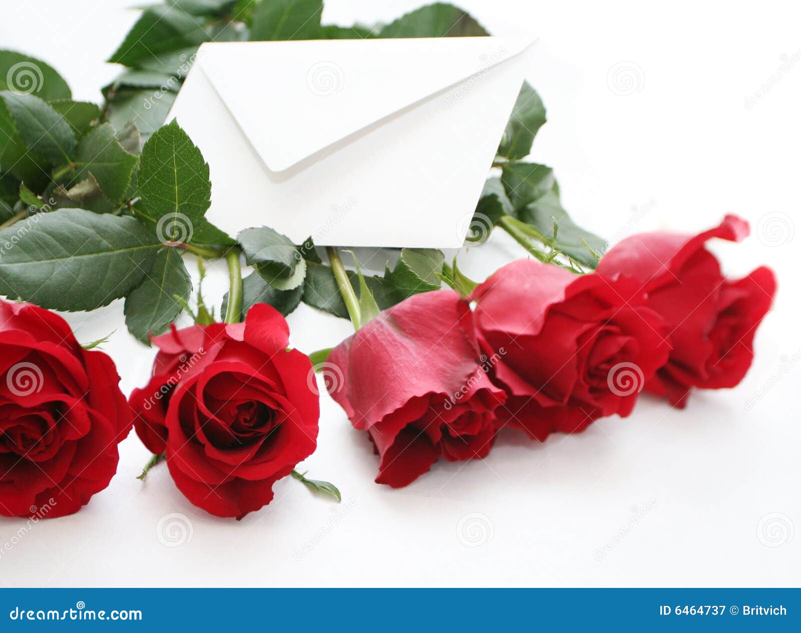 Letter in red roses stock image. Image of paper, card - 6464737