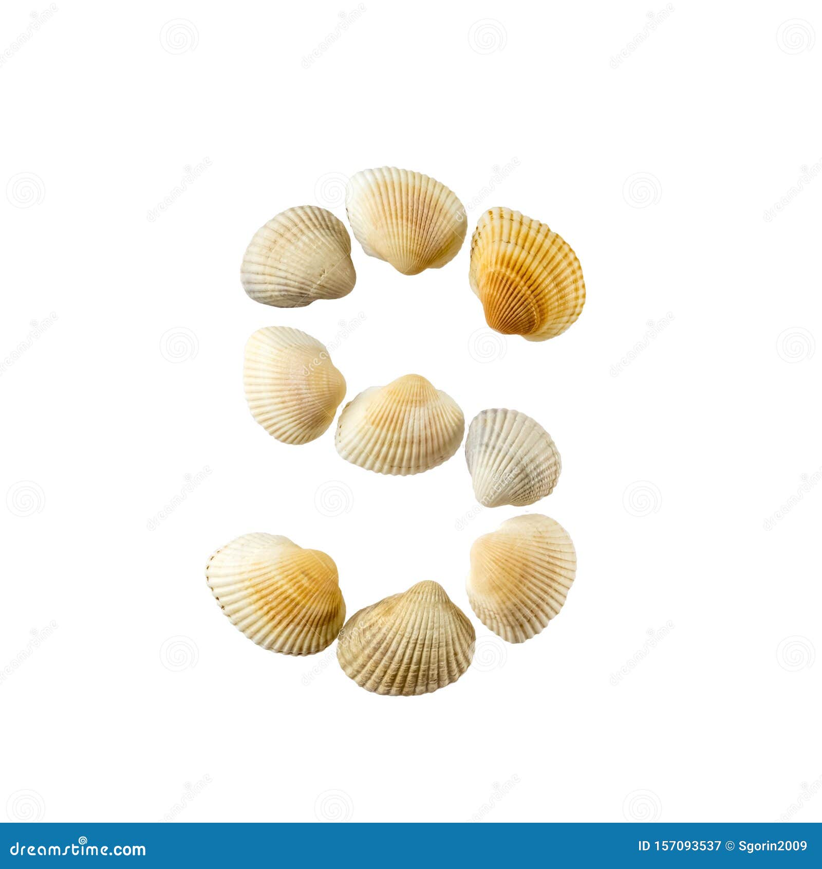 Letter `s` Composed from Seashells, Isolated on White Background Stock ...