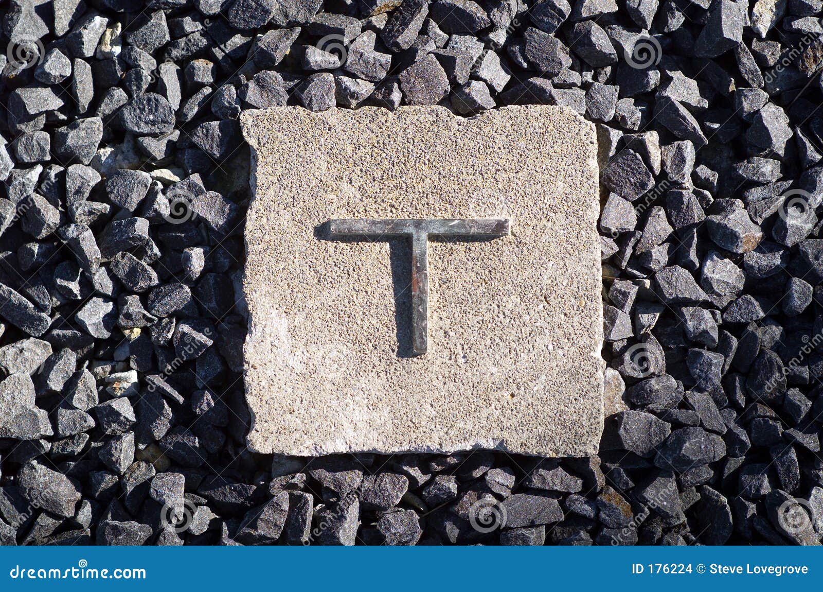 Letter T Found In Nature