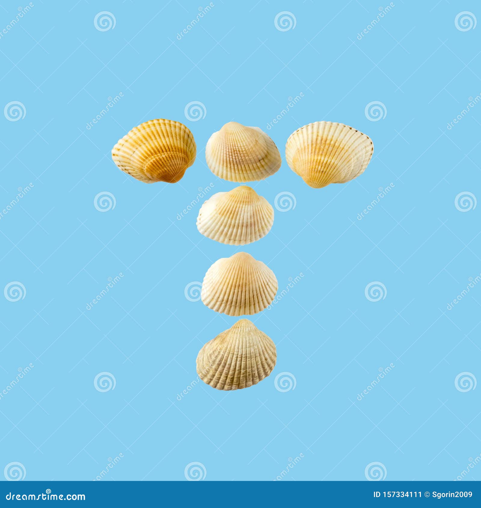 Letter `t` Composed from Seashells, Isolated on Gentle Blue Background ...