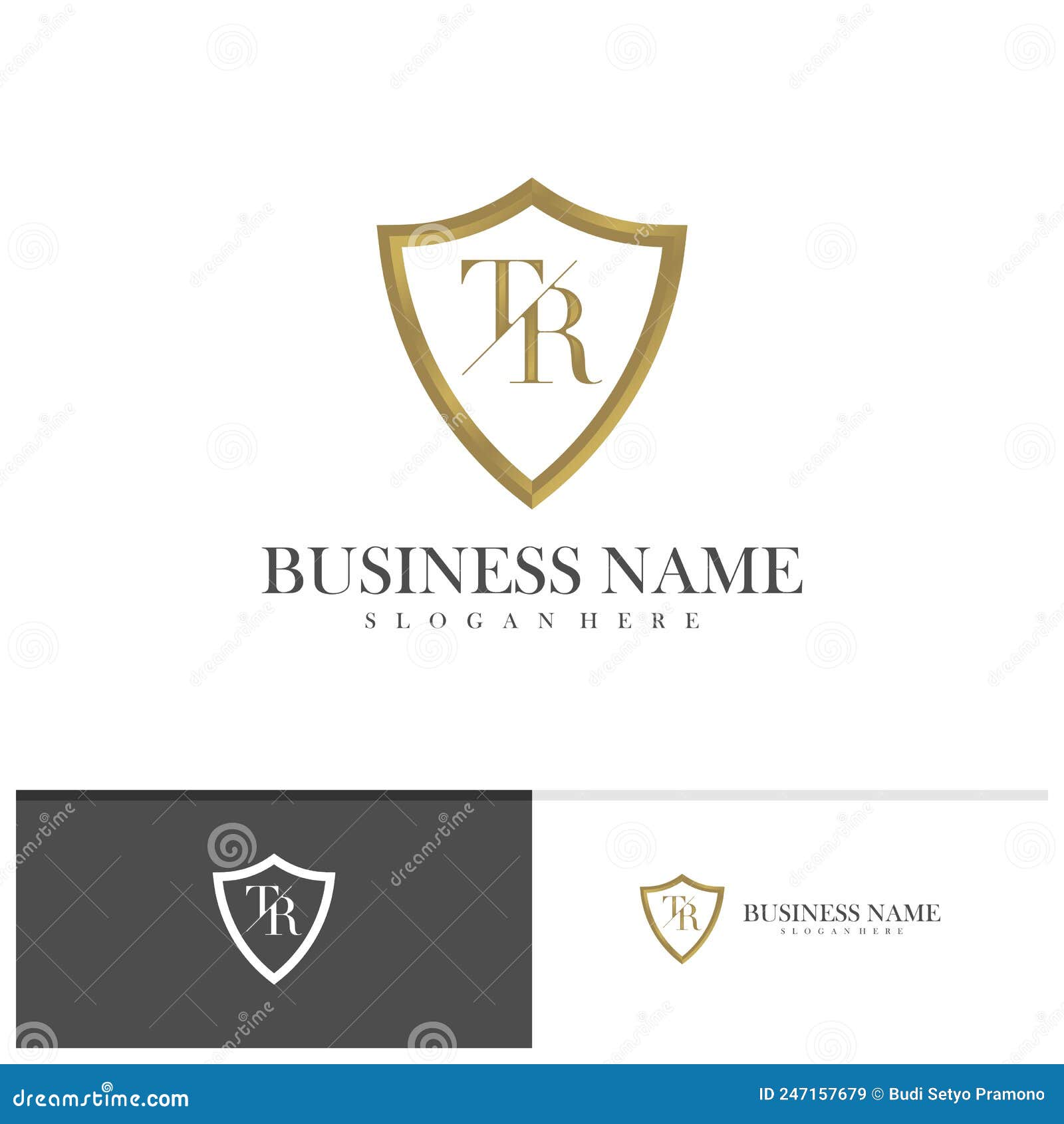 Letter T R Logo Vector Template, Creative T R Logo Design Concepts ...