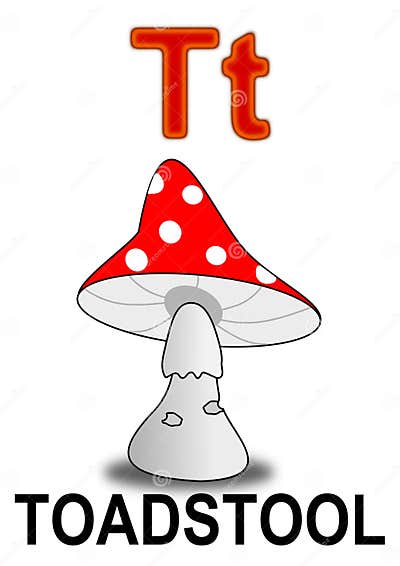 Letter T toadstool stock illustration. Illustration of food - 17943825
