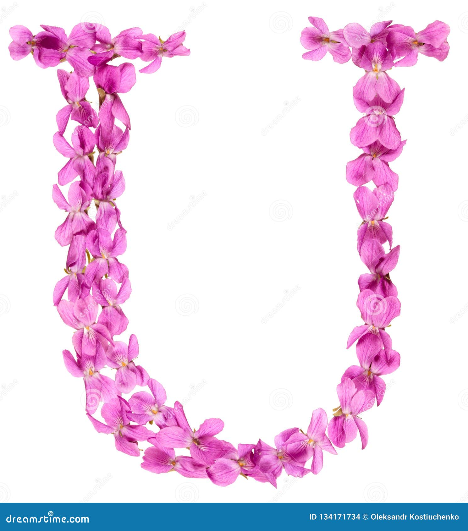 Letter U from Alphabet, from Flowers of Violet, Isolated on White ...