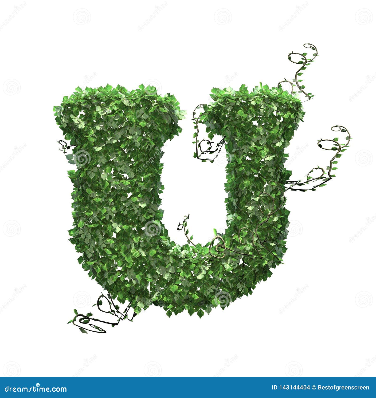 Letter U Created of Green Ivy Leaves Stock Illustration - Illustration ...