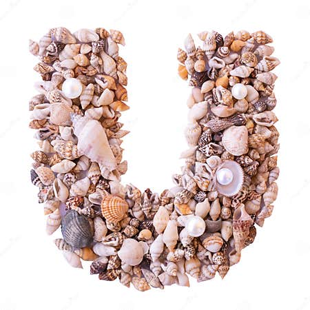 Letter U Made of Tiny Seashells. Stock Photo - Image of seashells ...