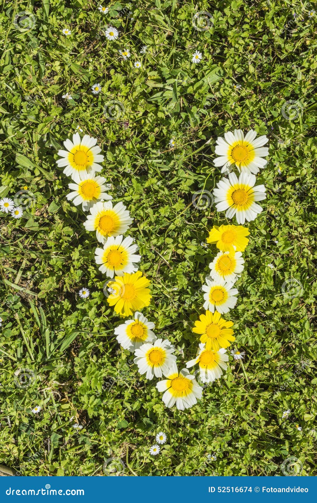 Letter V flower alphabet stock photo. Image of ecological - 52516674