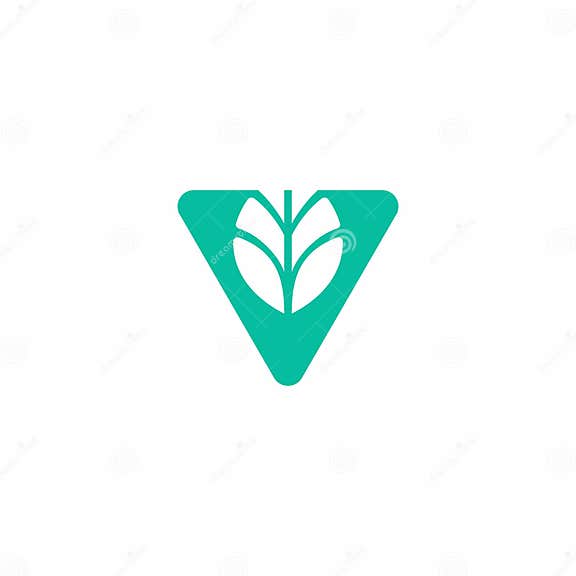 Letter V Leaf Logo Vector. Growth Leaf V Icon Stock Illustration ...