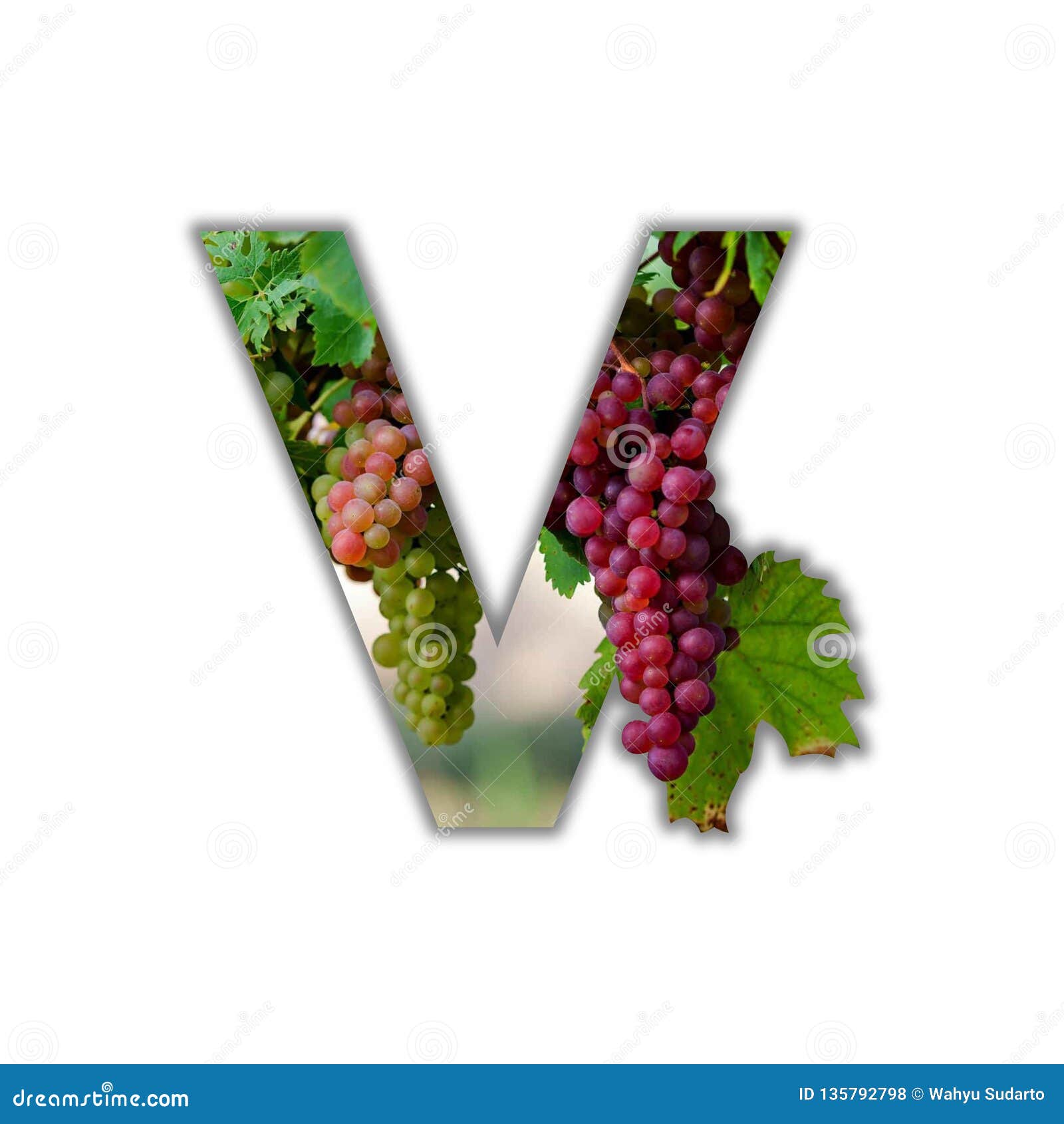 Letter V Made of Real Grapes Stock Photo - Image of alphabet, ecology ...