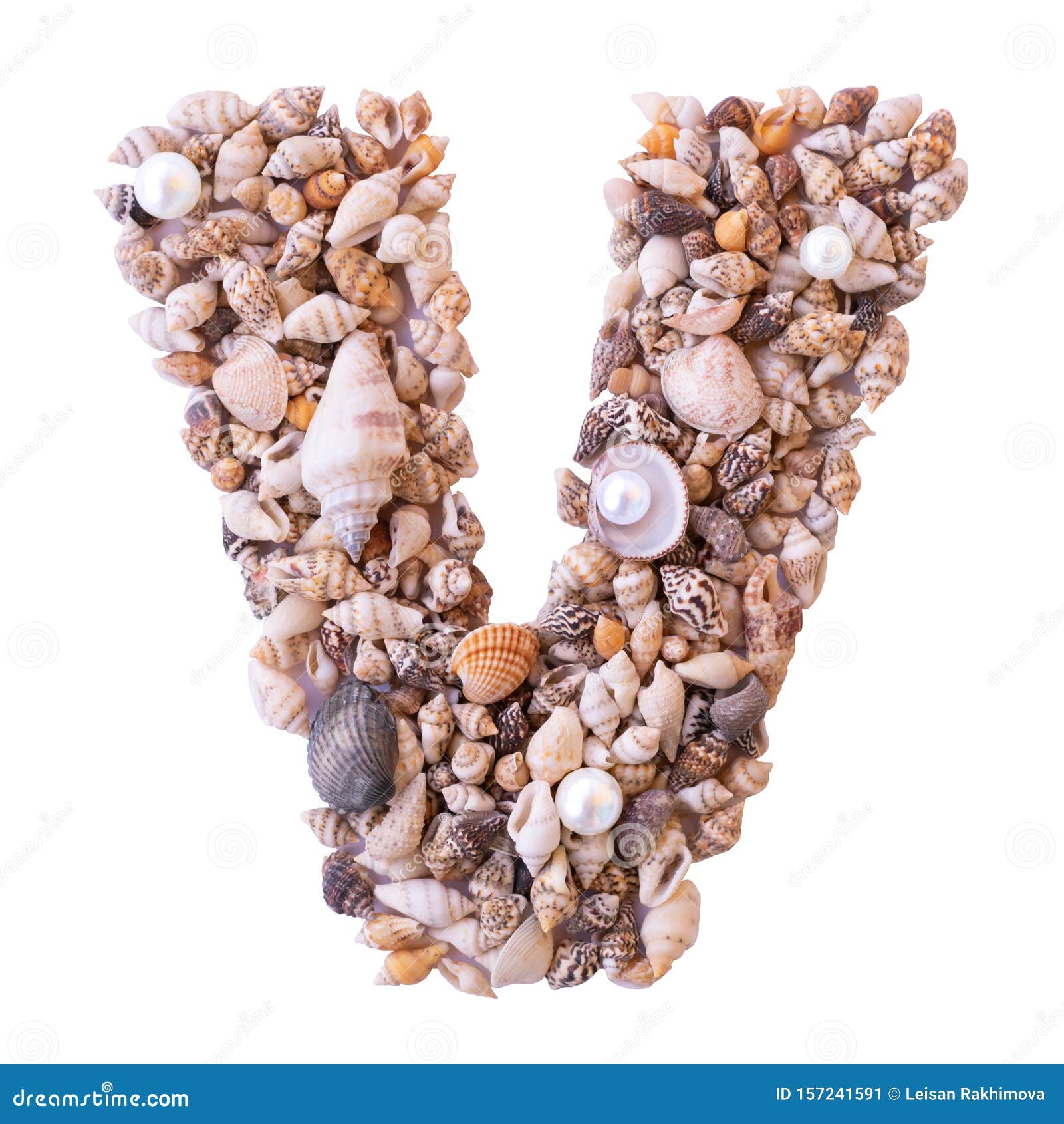 Letter V Made of Tiny Seashells. Stock Image - Image of spiral, sign ...