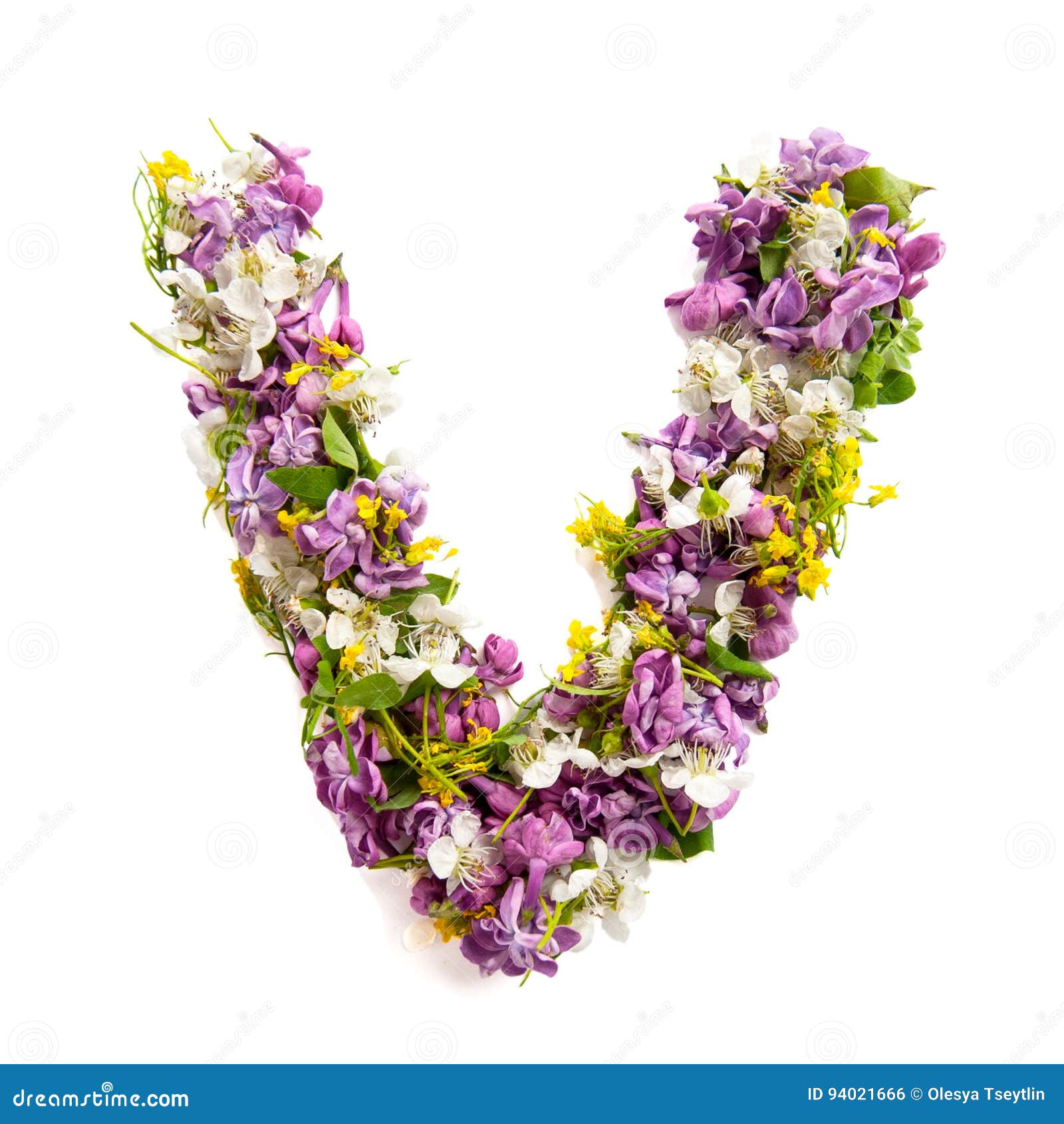 The Letter «V» Made of Various Natural Small Flowers. Stock Photo ...