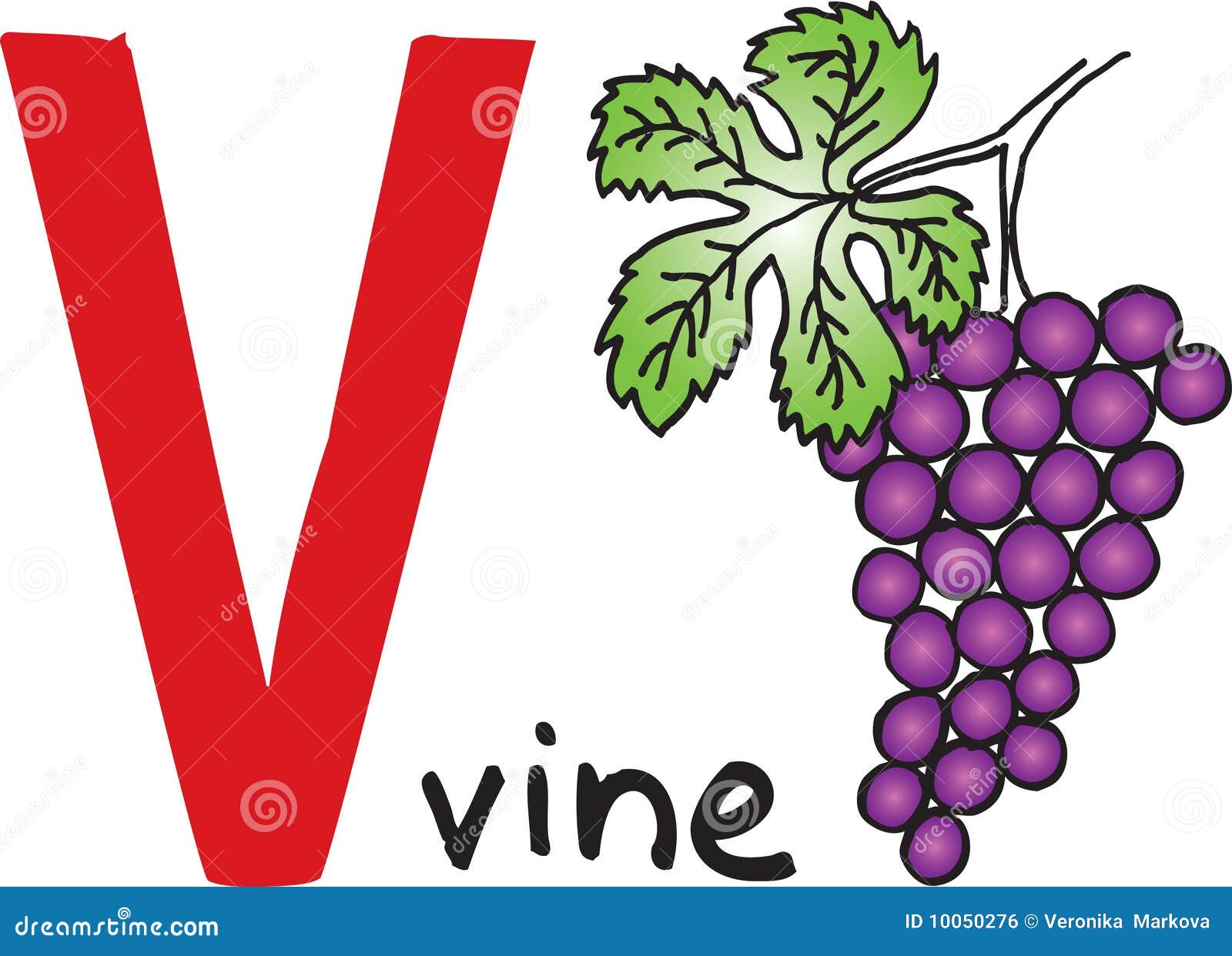 Vine V Logo