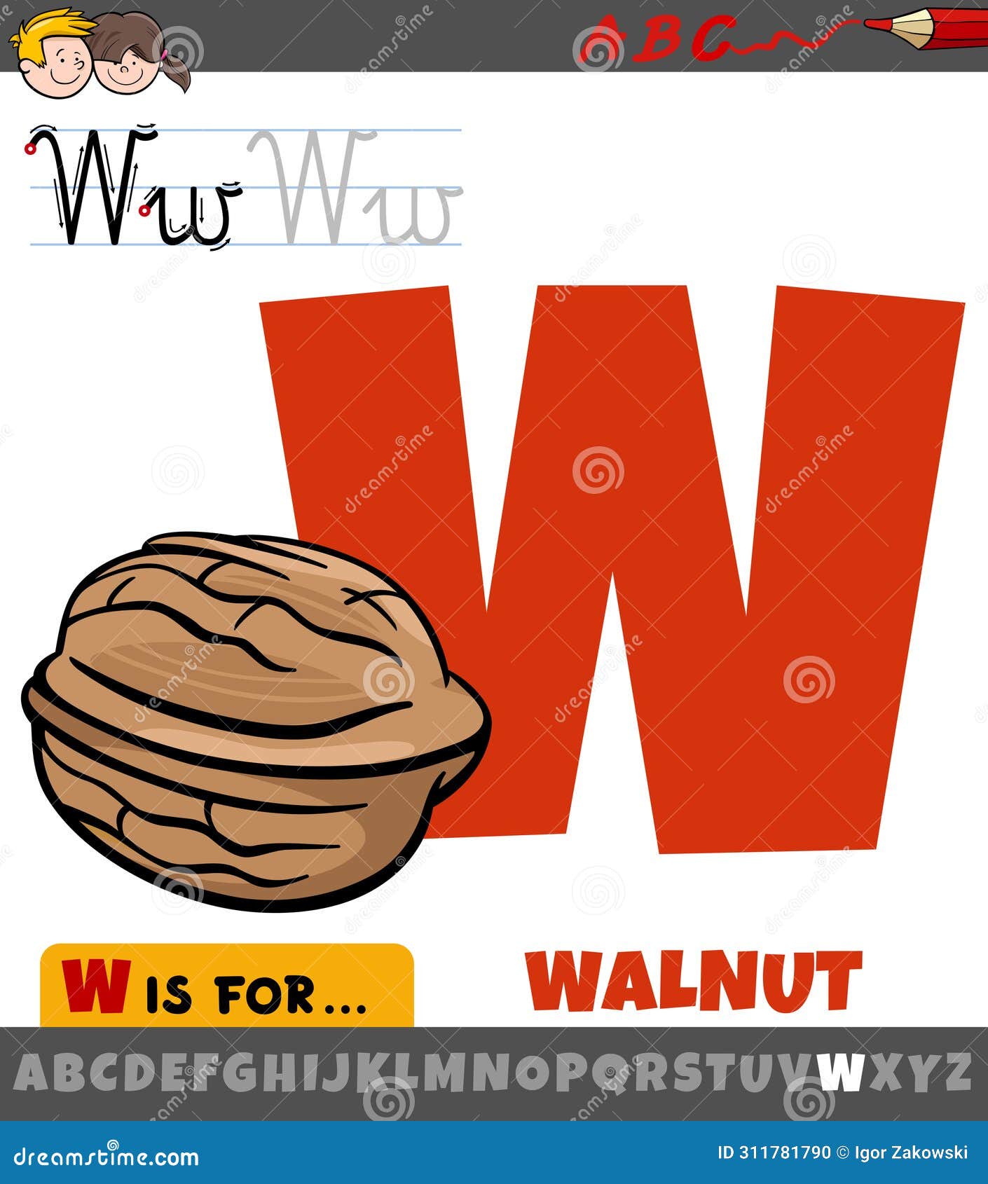 Letter W from Alphabet with Cartoon Walnut Object Stock Vector ...