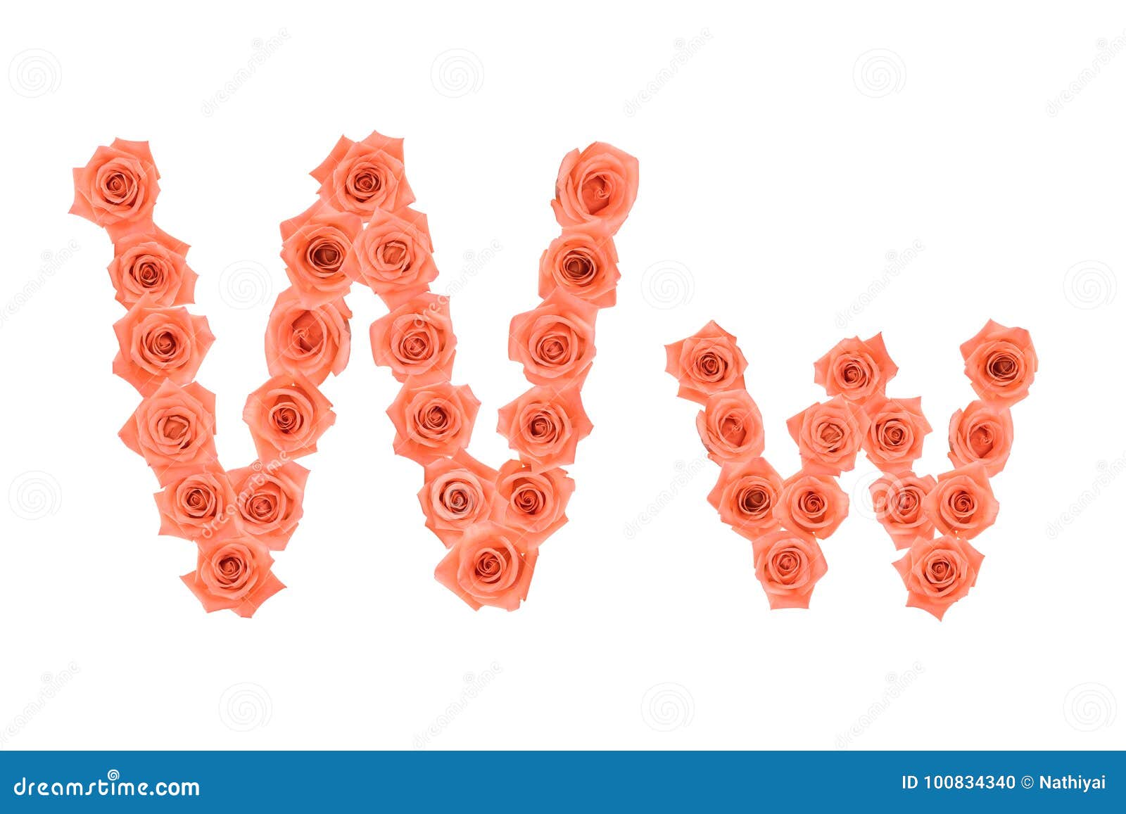 Letter W, Alphabet Made from Orange Roses Stock Photo - Image of flower ...